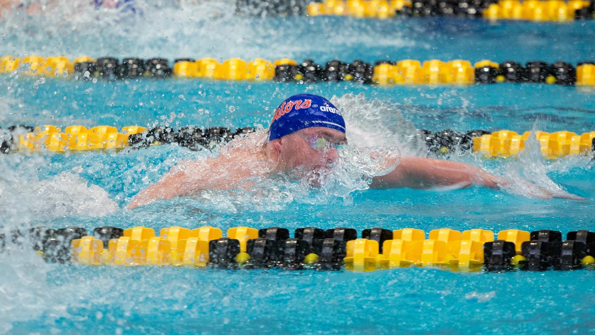 Adam Chaney - Men's Swimming & Diving - Florida Gators