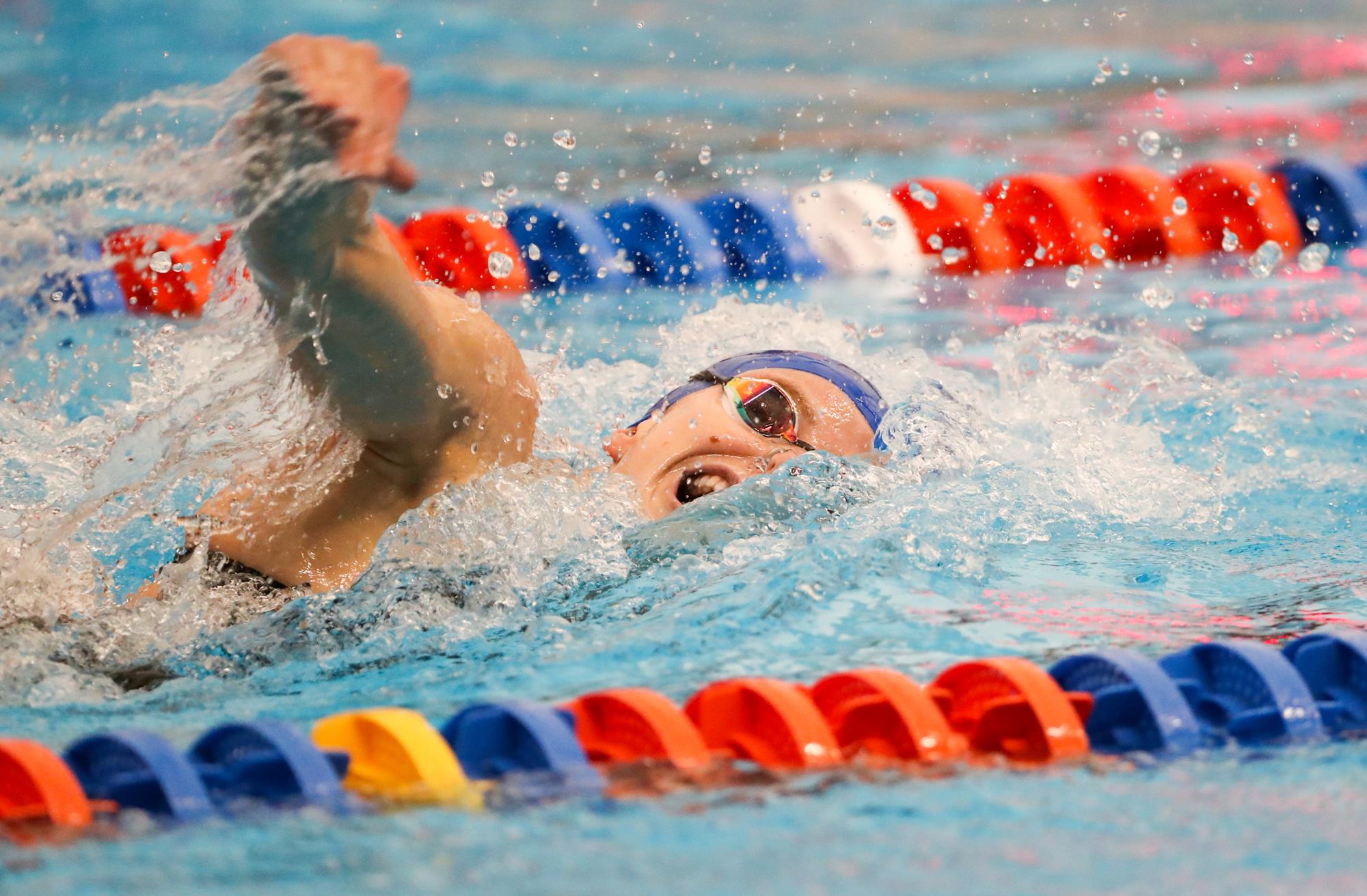 Talia Bates - Women's Swimming & Diving - Florida Gators