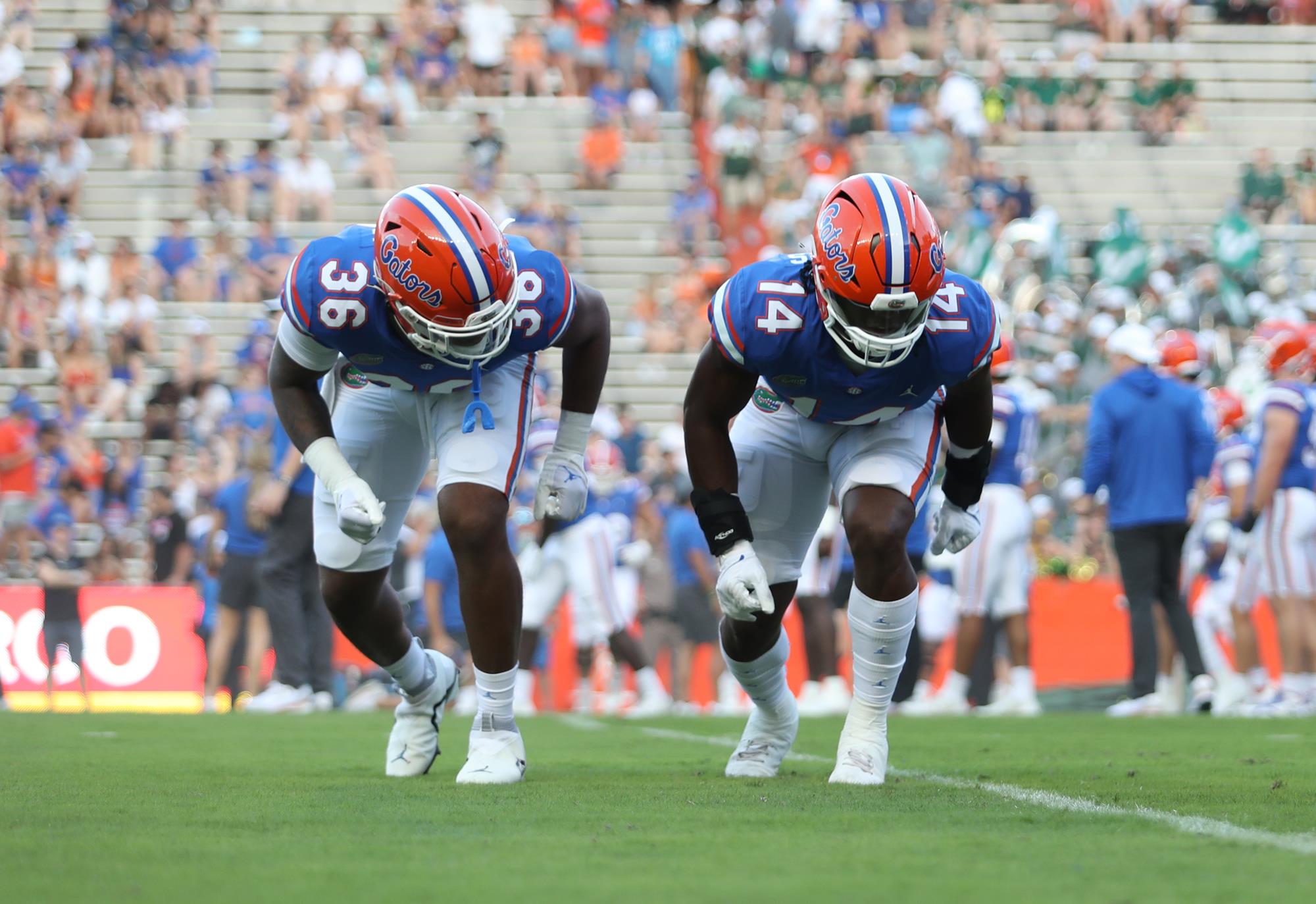 Chief Borders - Football - Florida Gators