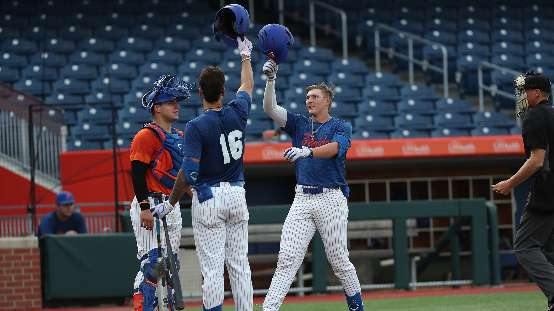 Tyler Shelnut - Baseball - Florida Gators