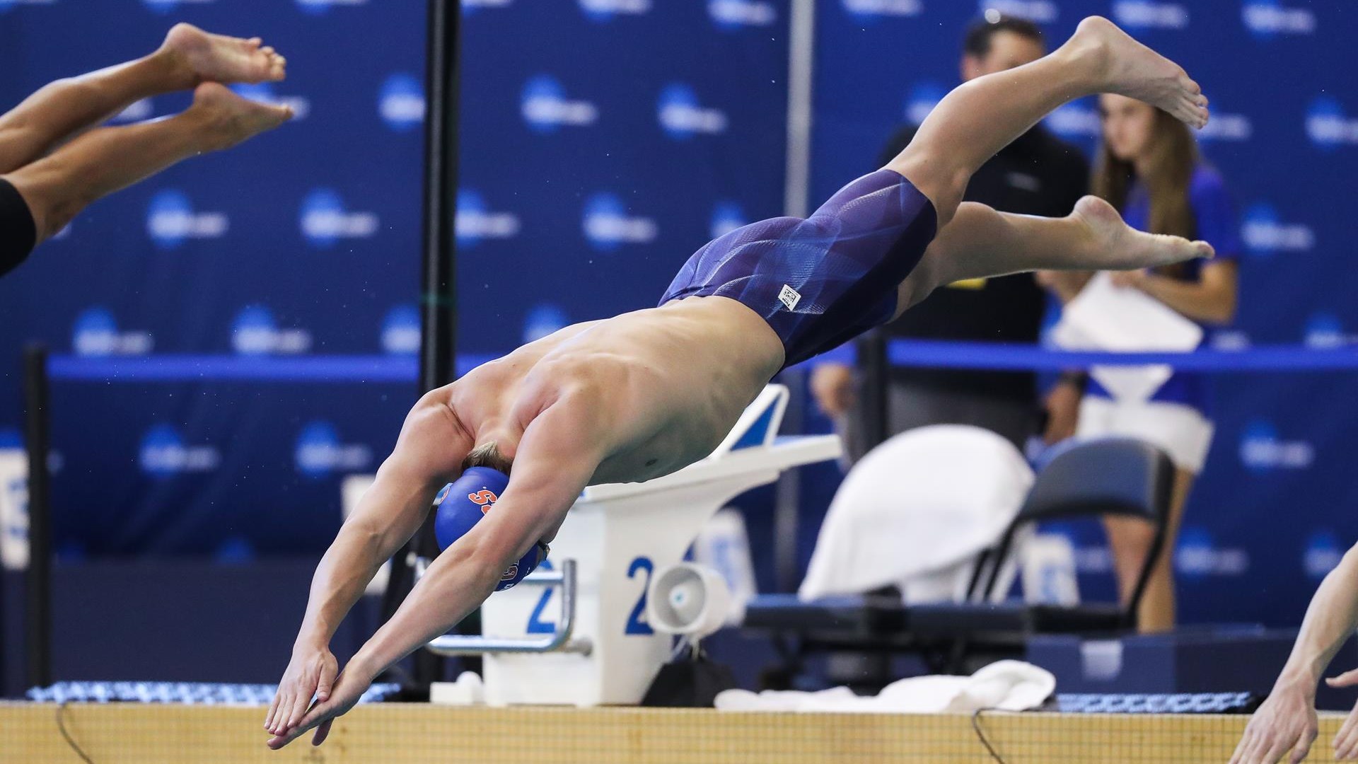 Trey Freeman - Men's Swimming & Diving - Florida Gators