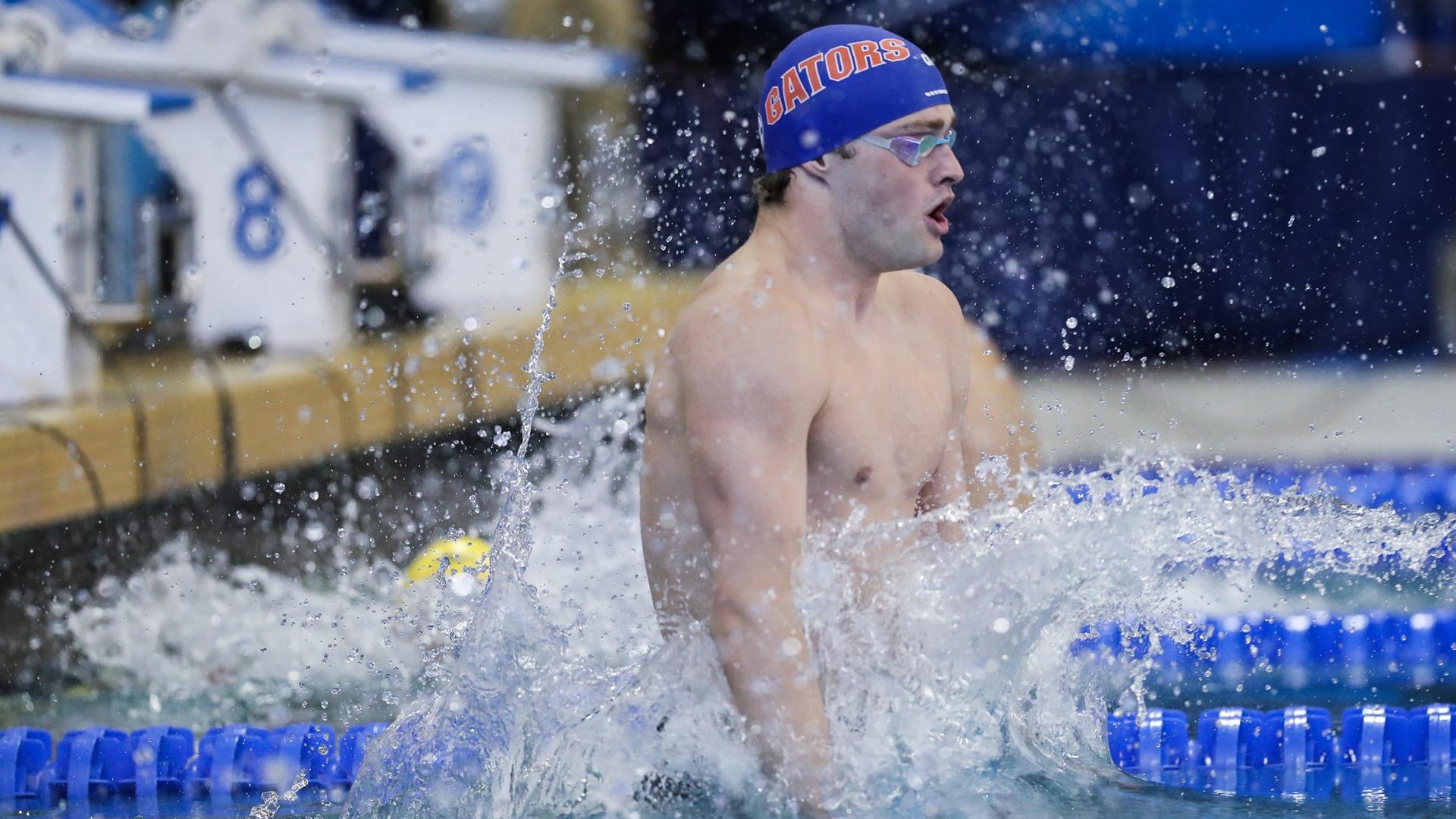 Adam Chaney - Men's Swimming & Diving - Florida Gators