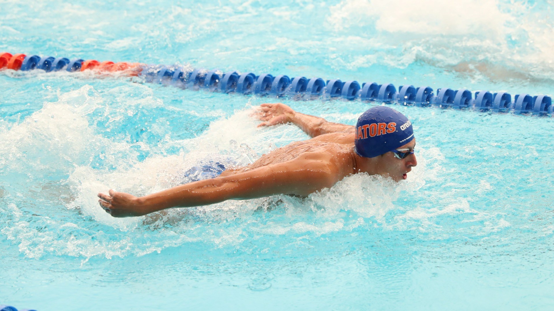 Kevin Vargas - Men's Swimming & Diving - Florida Gators