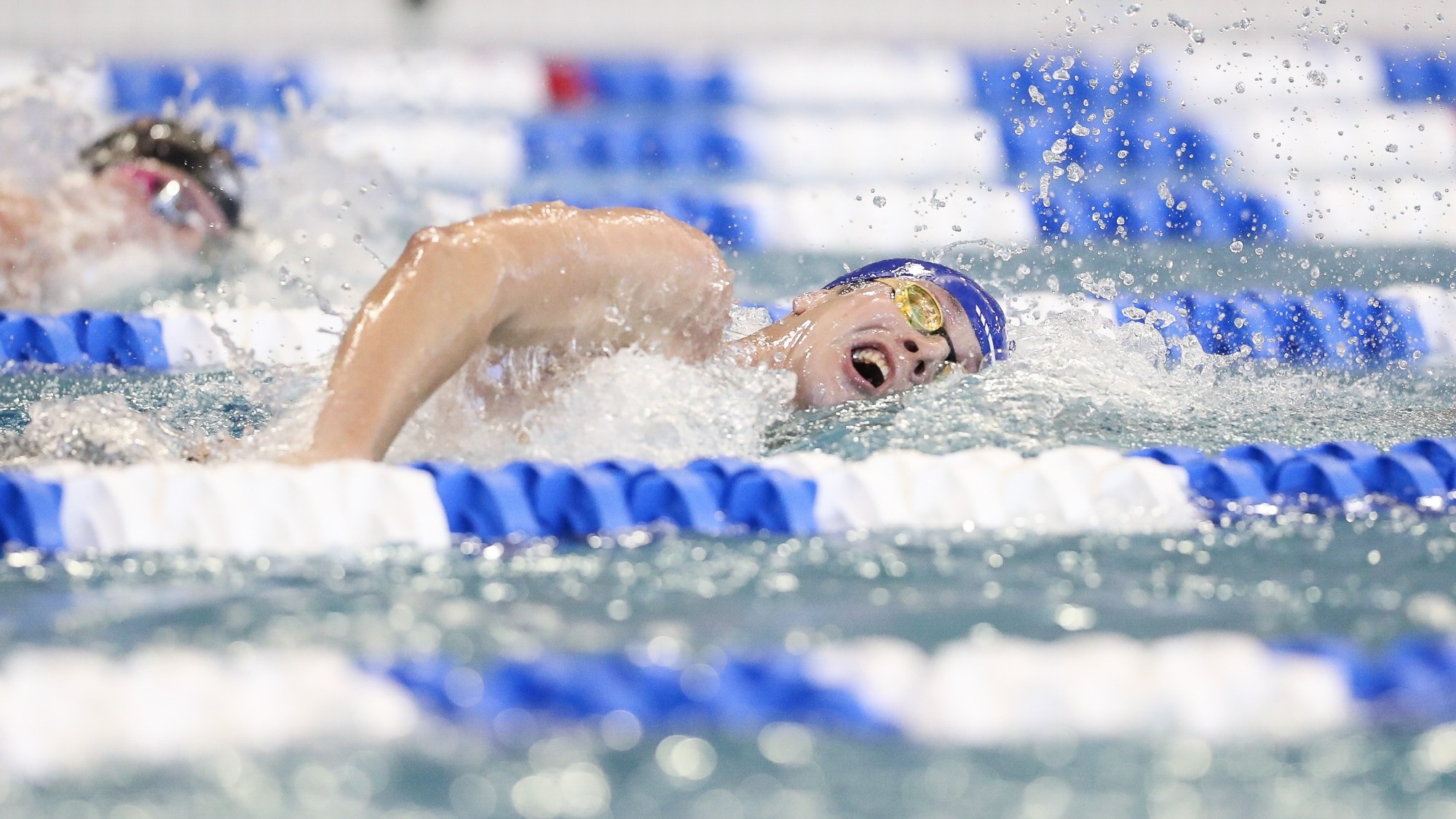 Tyler Watson - Men's Swimming & Diving - Florida Gators