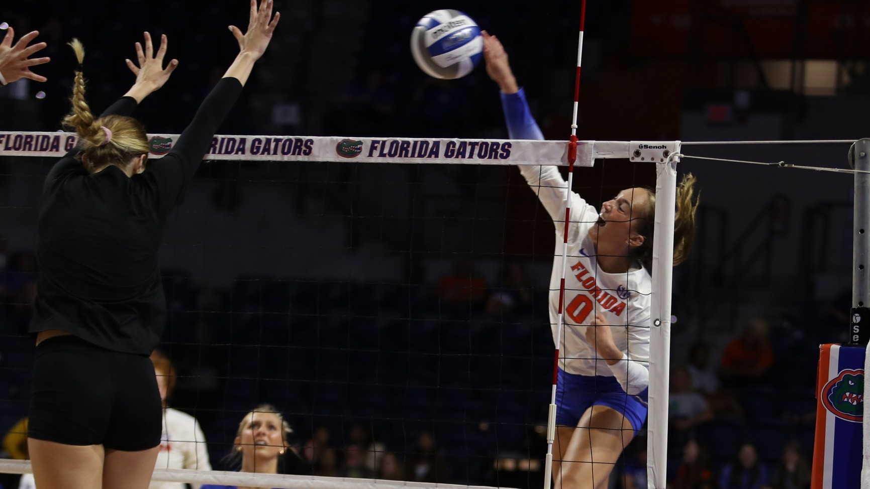 AC Fitzpatrick - Volleyball - Florida Gators