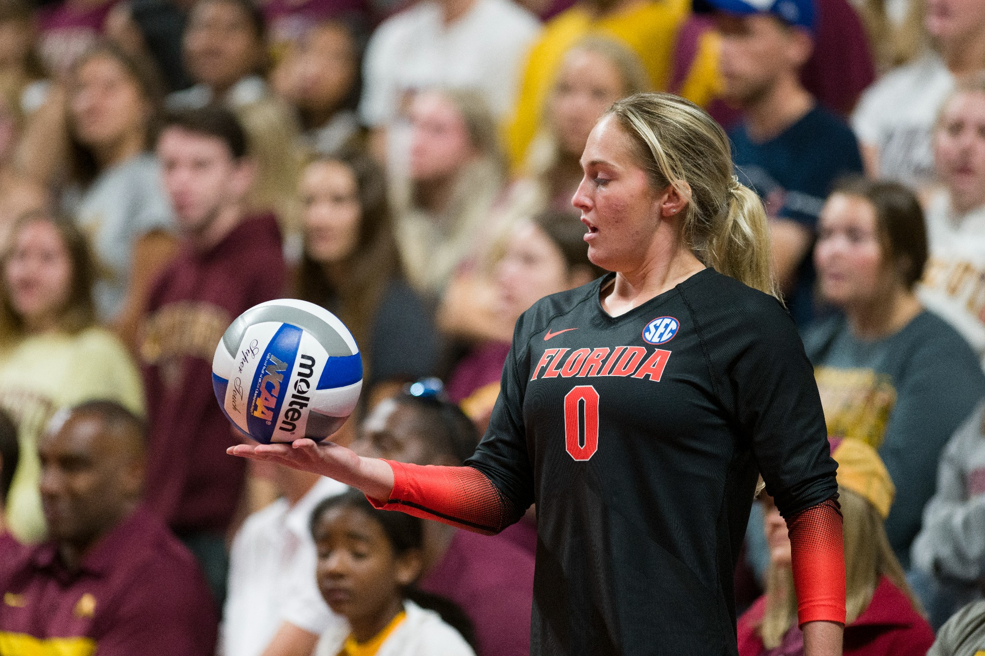 AC Fitzpatrick - Volleyball - Florida Gators