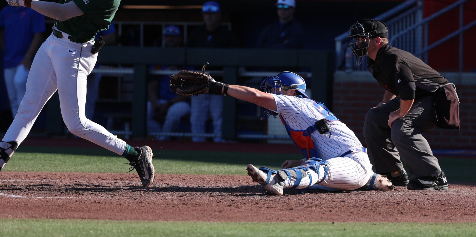 Tanner Garrison - Baseball - Florida Gators