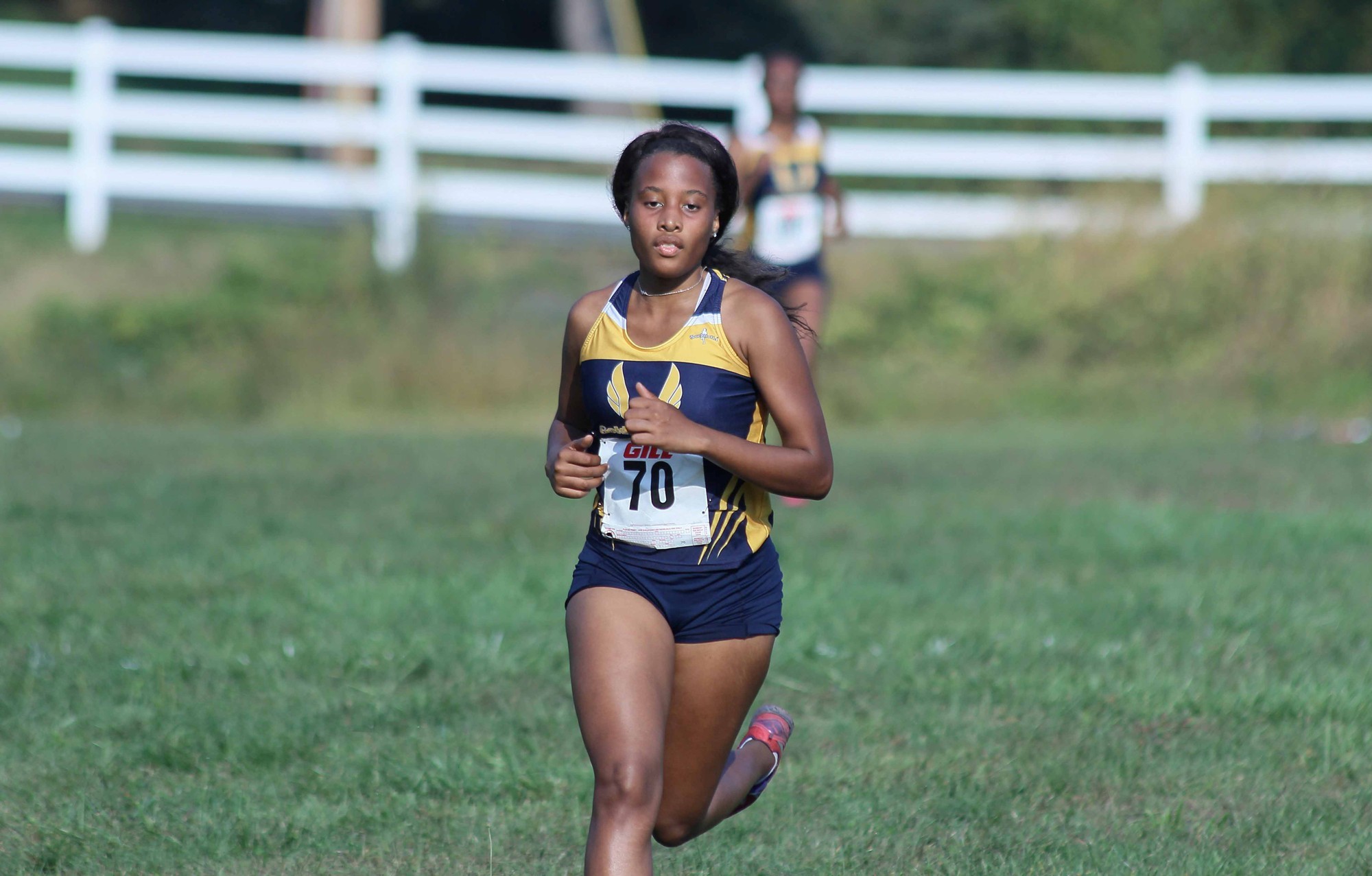 Leshae Lee - 2015 - Women's Cross Country - Goldey-Beacom College Athletics