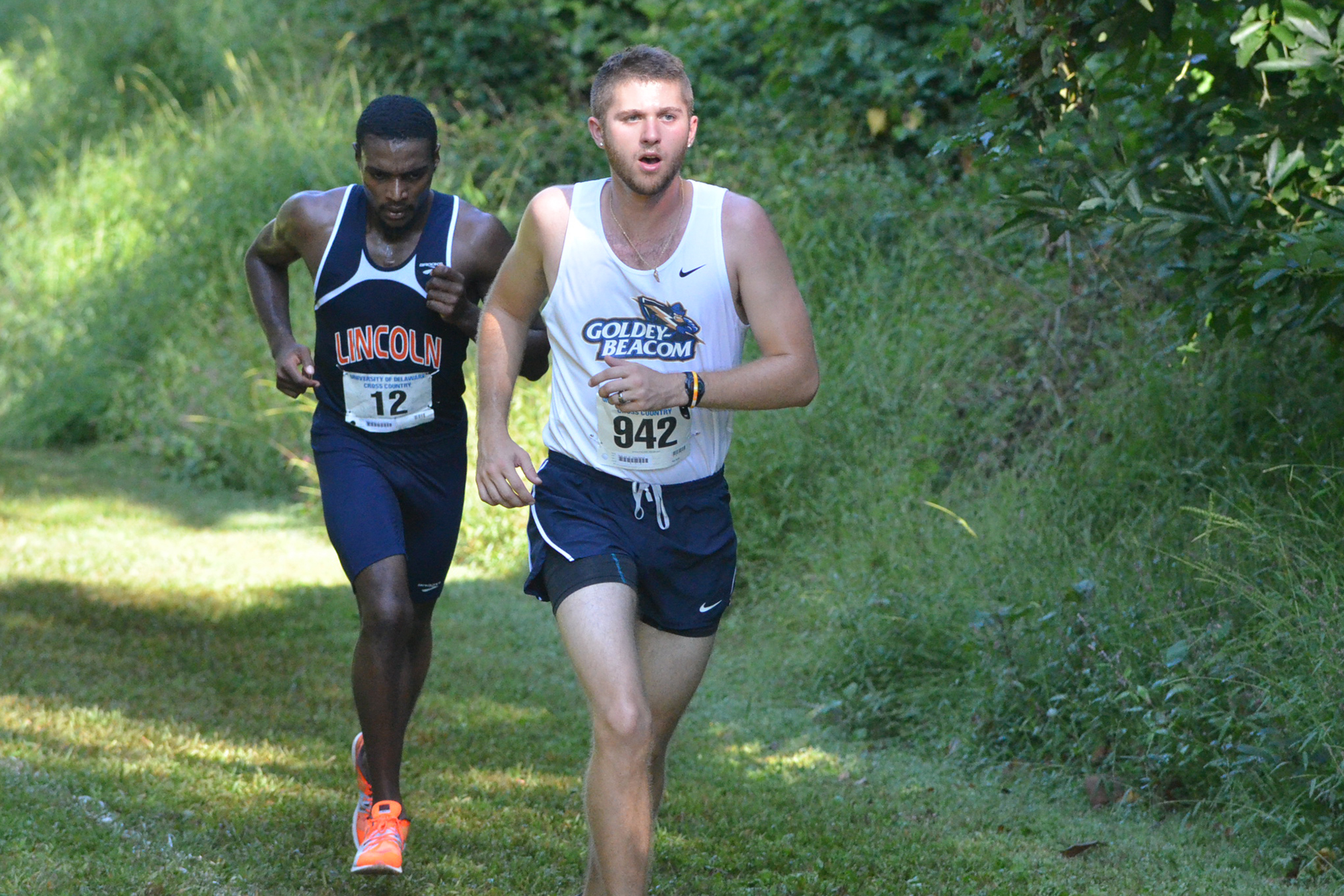 Josh Shultz - 2017 - Men's Cross Country - Goldey-Beacom College Athletics