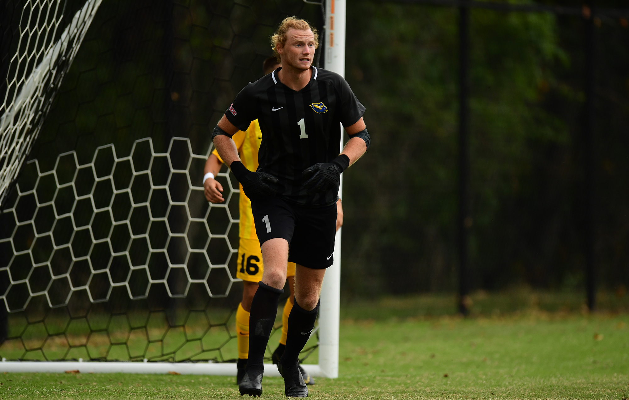 Cole Lewis - 2020 - Men's Soccer - Goldey-Beacom College Athletics