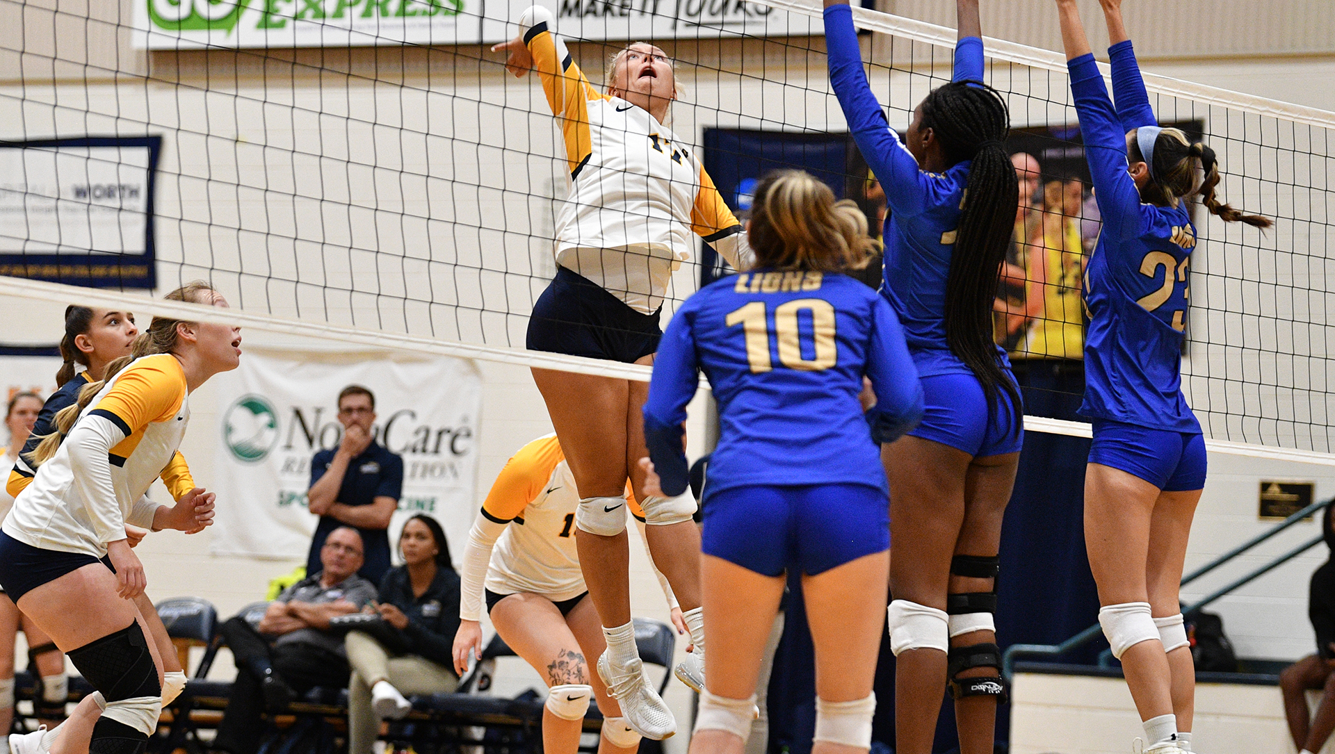 Volleyball Plays Tough in Its Home Tri-Match - Goldey-Beacom College ...