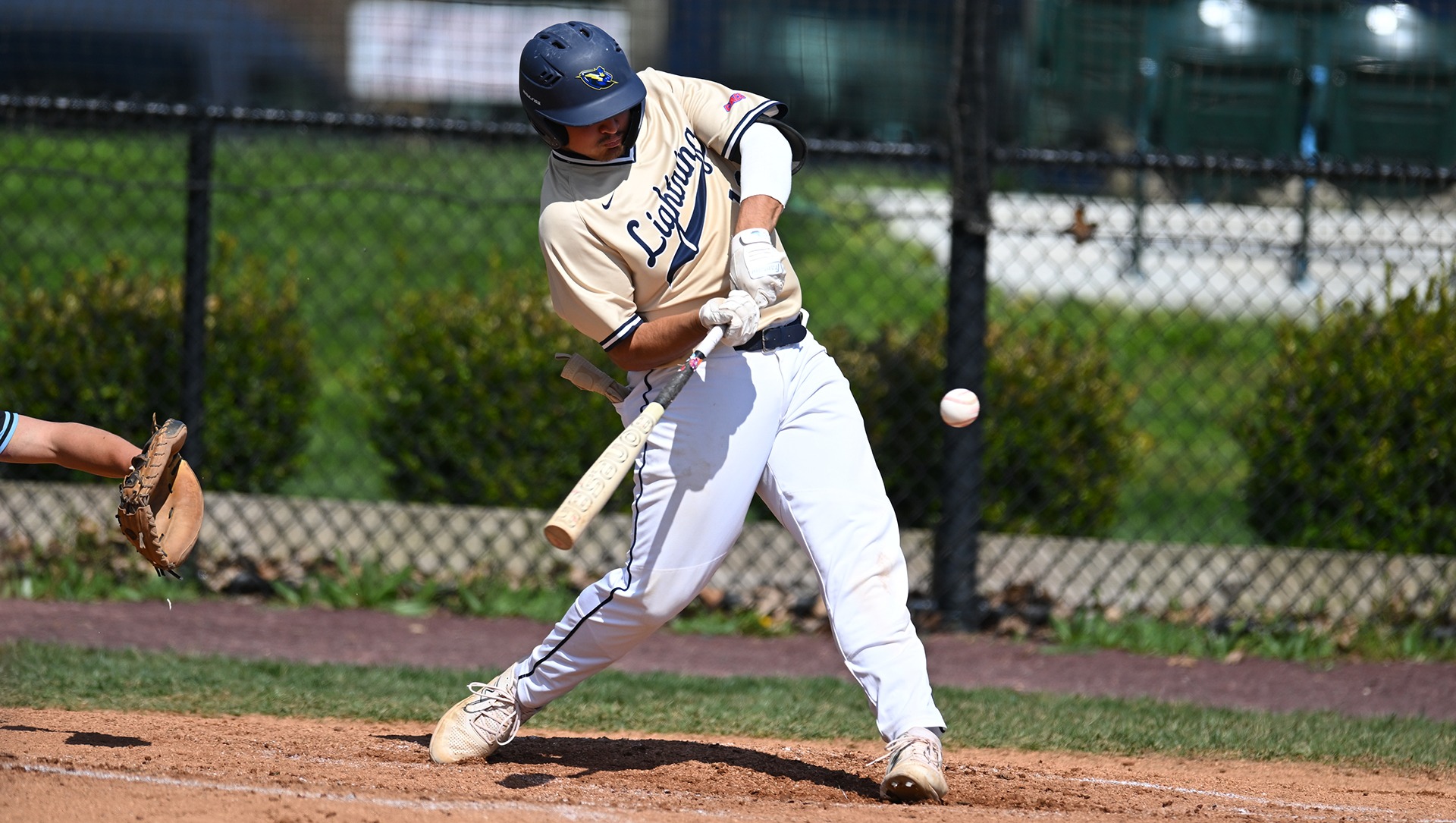 Darin Miller - 2024 - Baseball - Goldey-Beacom College Athletics