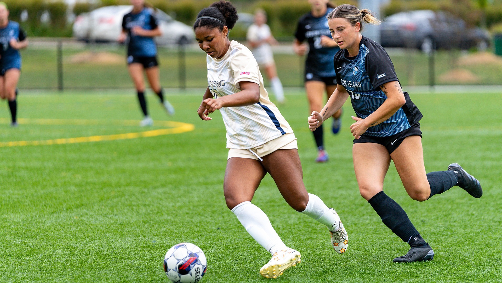 Goldey-Beacom College Department of Athletics Announces Eighth Hall of ...