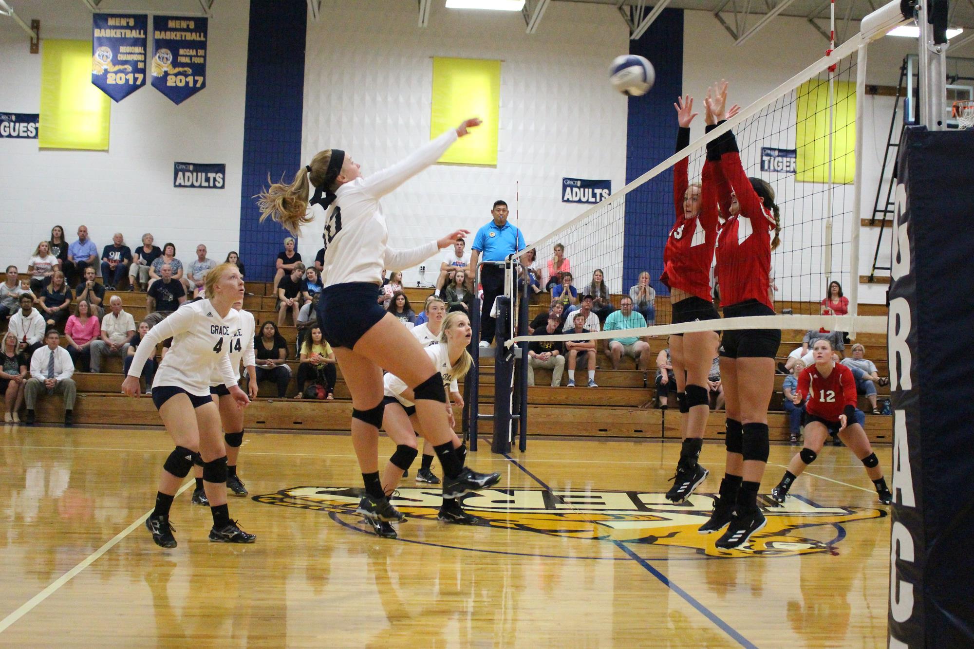 Anna Drenth - Women's Volleyball - The Official Site of the Grace ...