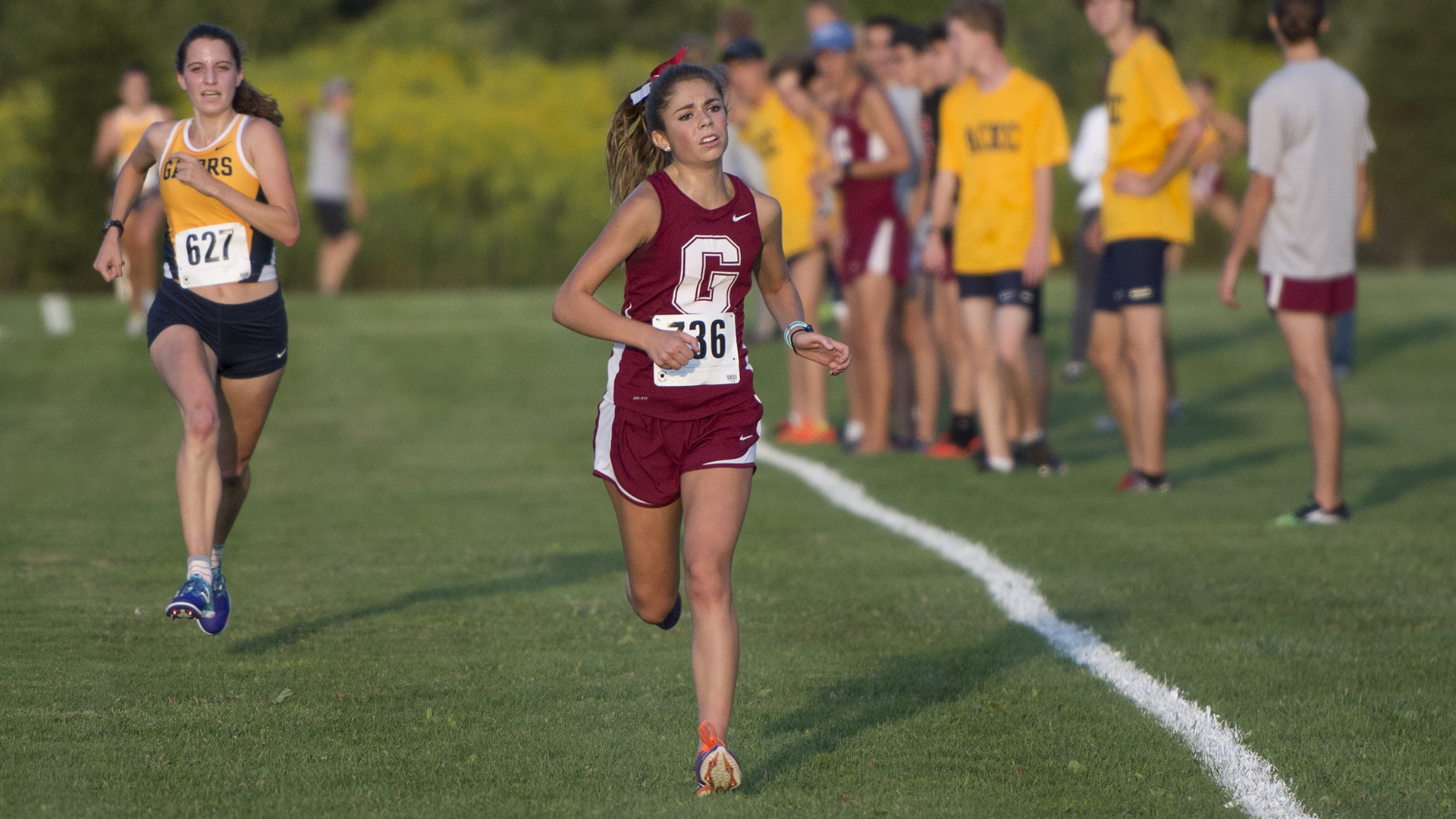 Josh Risinger - Men's Cross Country - Grove City College Athletics
