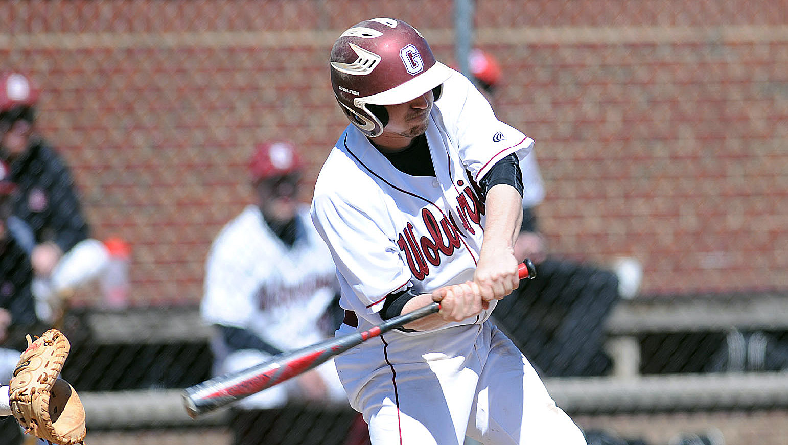 David Laylock - Baseball - Grove City College Athletics