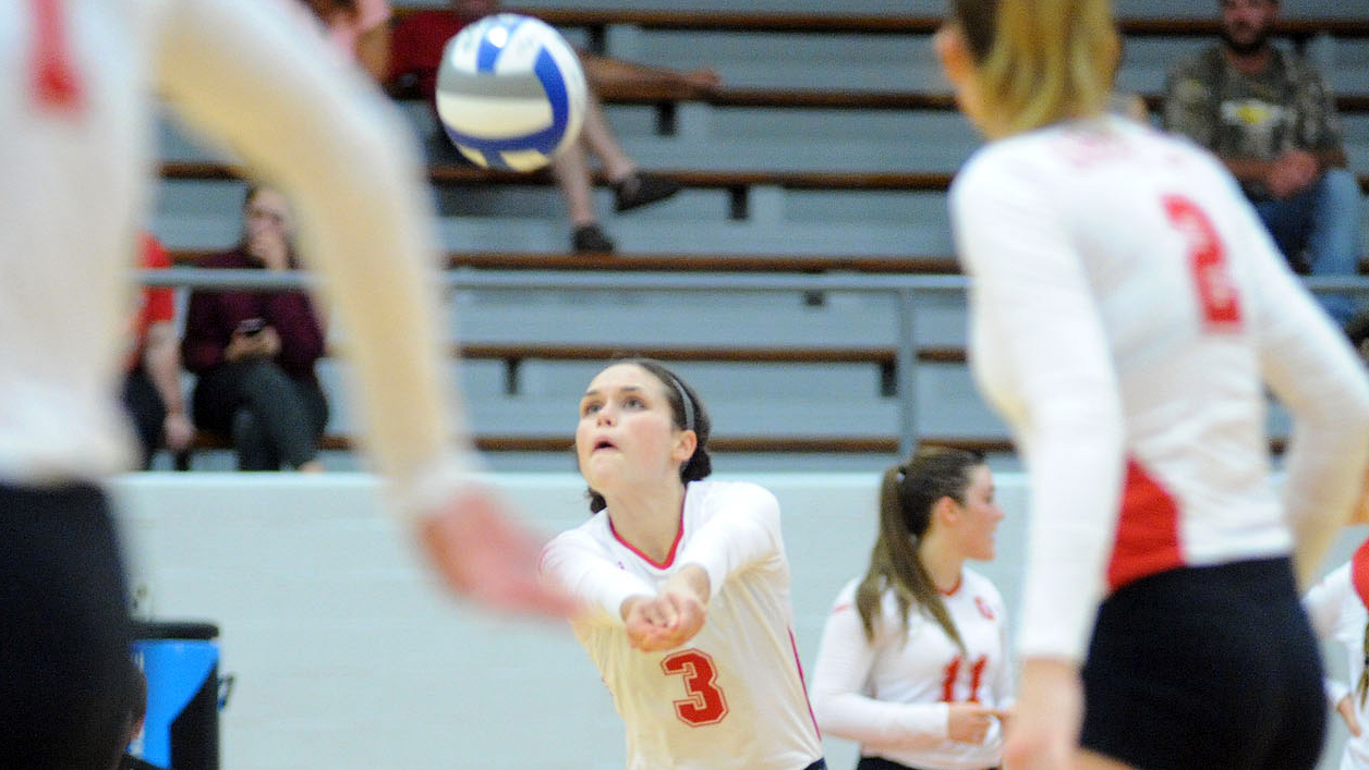Monica Fitzgerald - Women's Volleyball - Grove City College Athletics