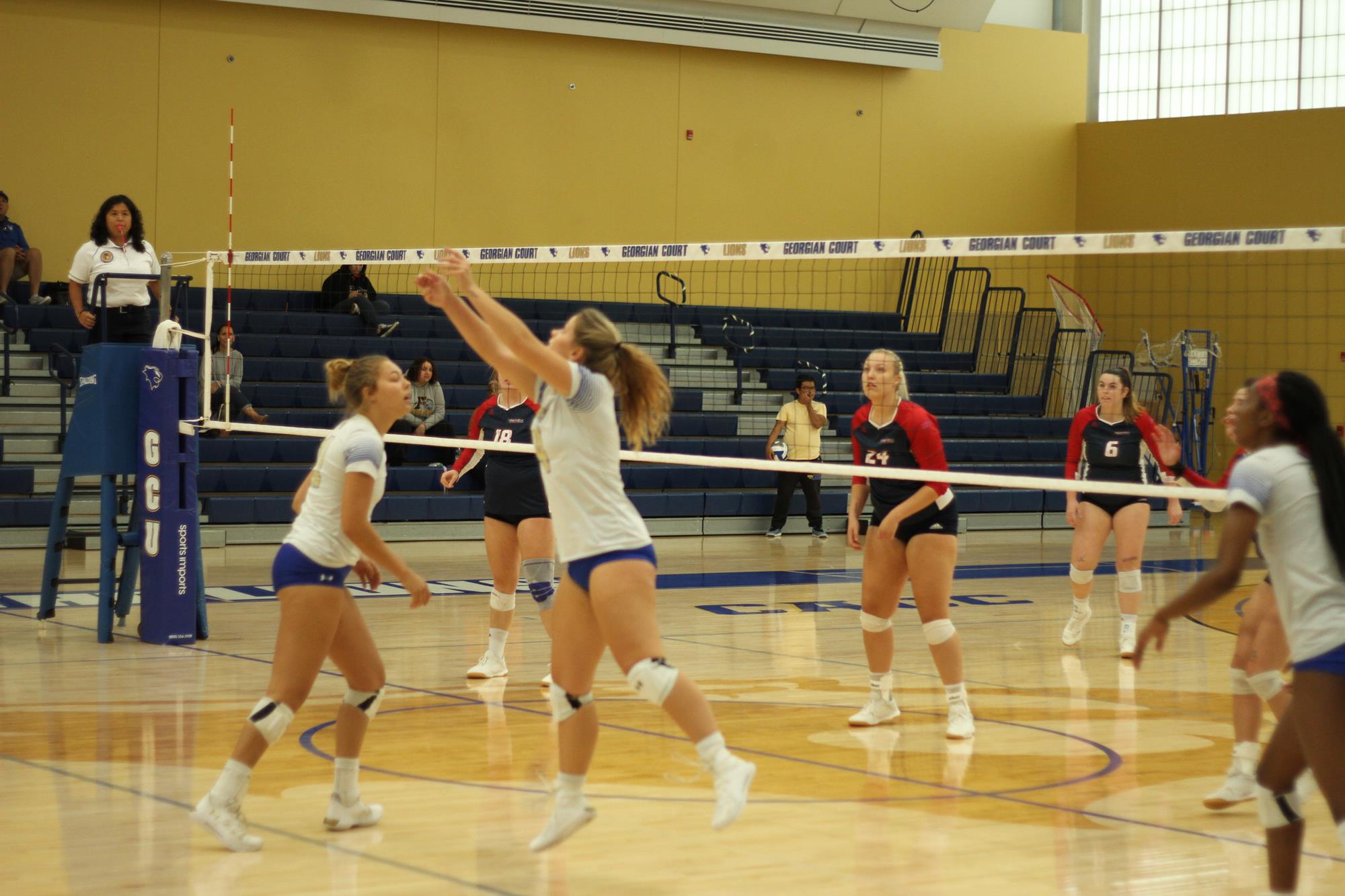 Jaime Sweeney - Women's Volleyball - GCU Athletics