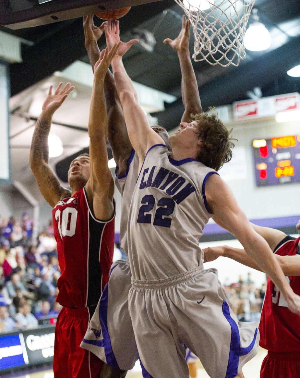 Justin Wesolowski - Men's Basketball - Grand Canyon University Athletics