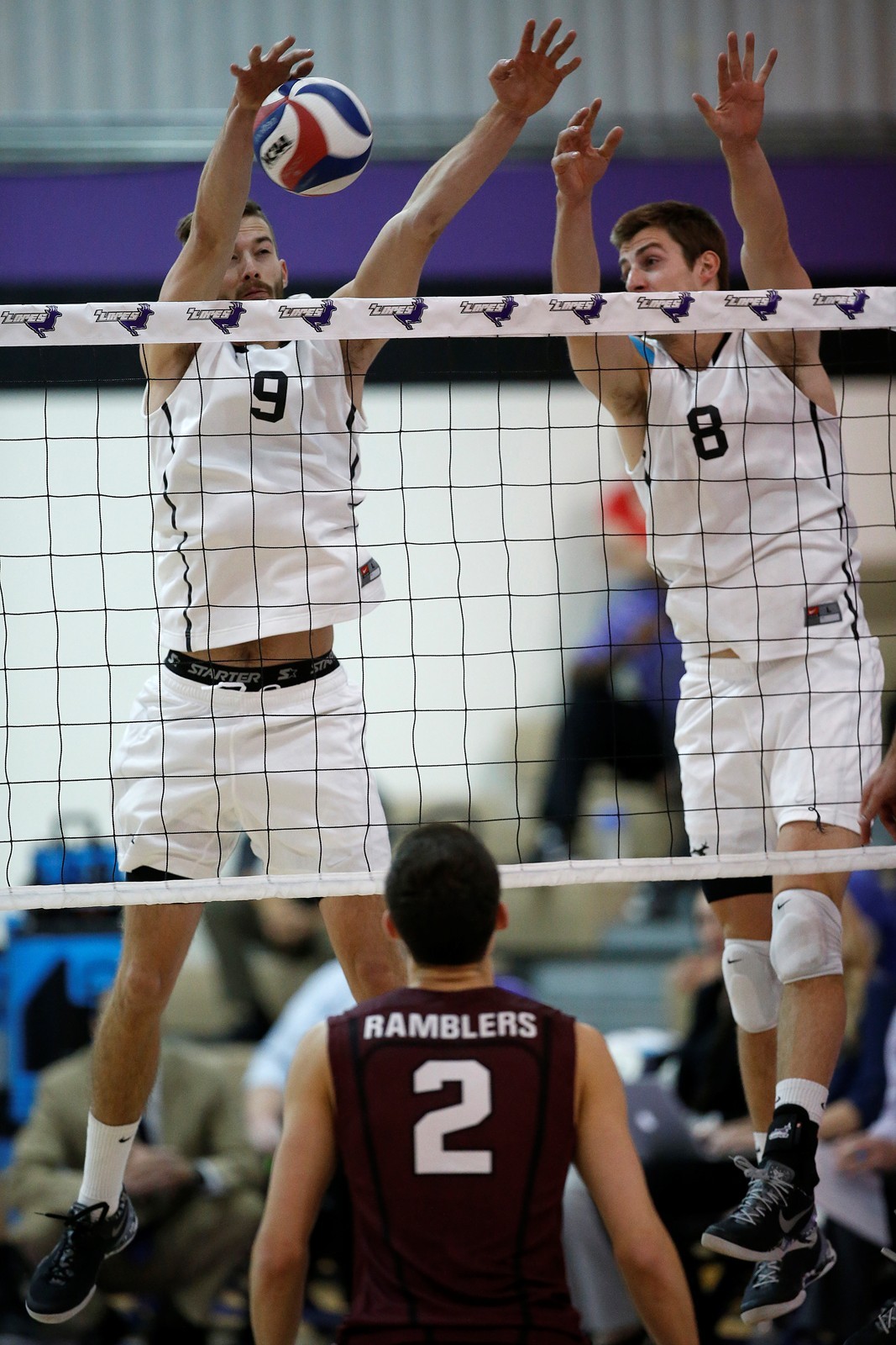 Connor Dougherty - Men's Volleyball - Grand Canyon University Athletics