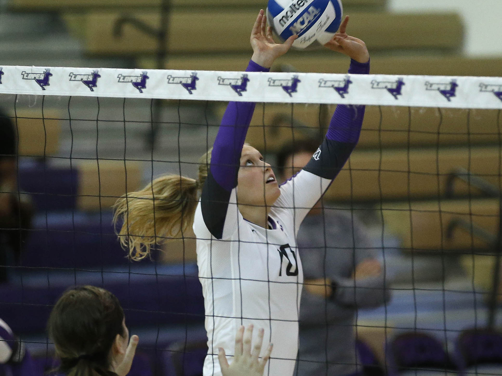 Heidi Carpenter - Women's Volleyball - Grand Canyon University Athletics