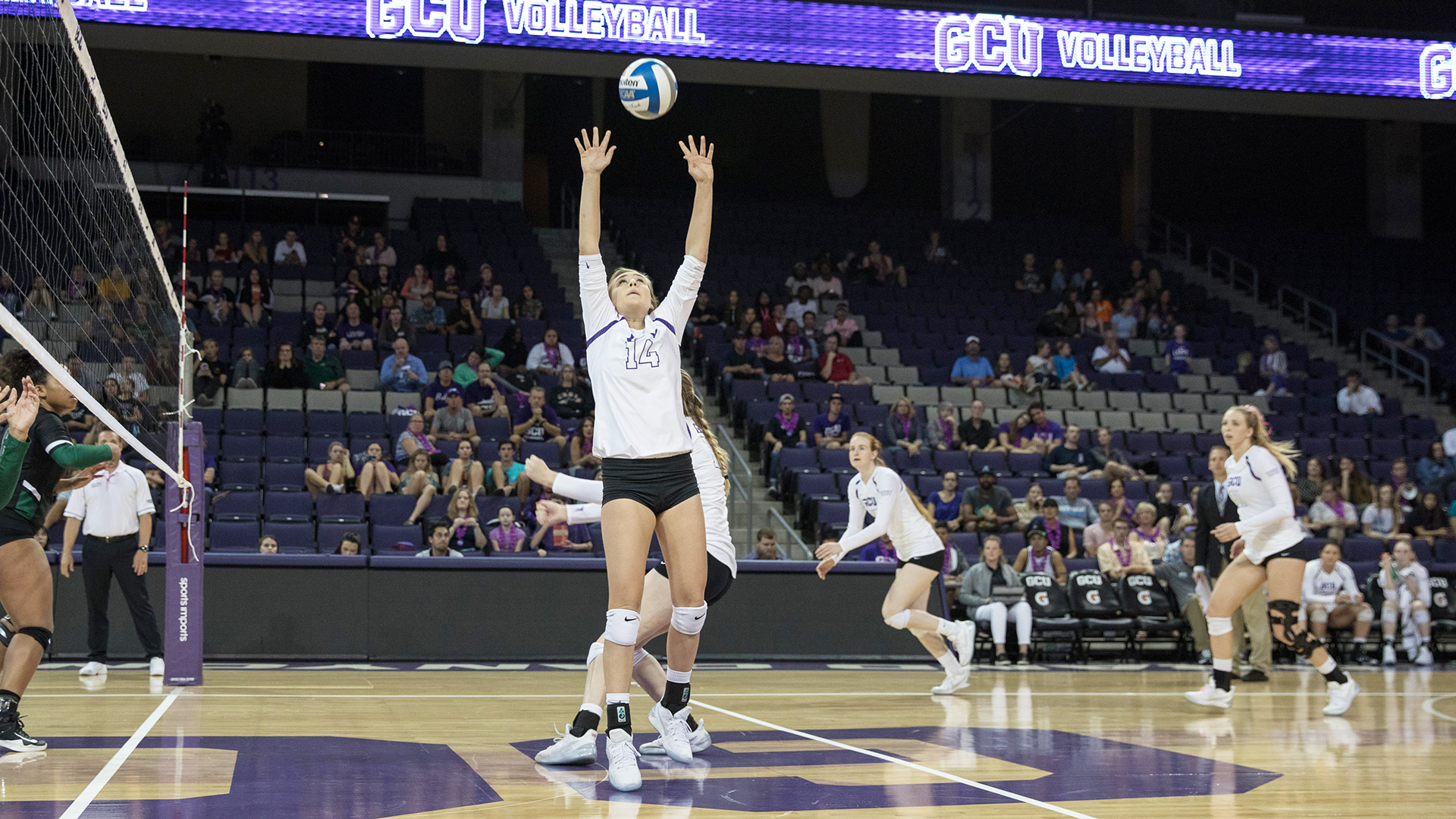 Kayla Redfield - Women's Volleyball - Grand Canyon University Athletics