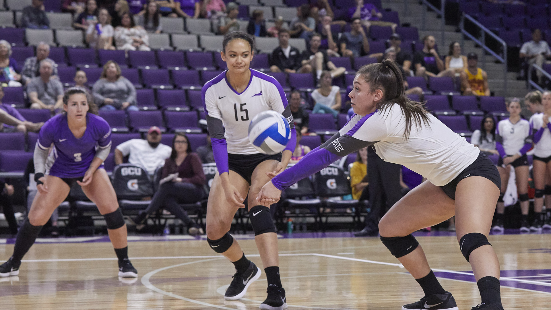 Kayla Matthews - Women's Volleyball - Grand Canyon University Athletics