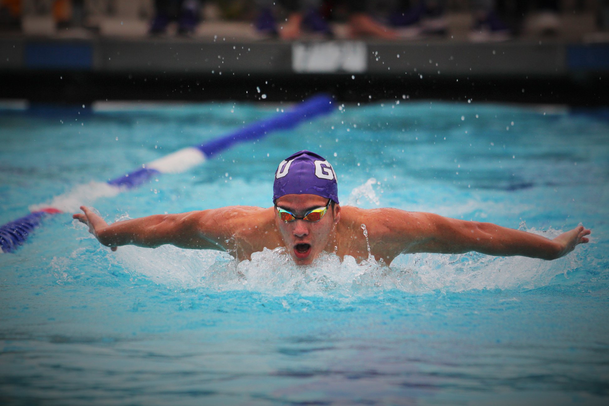 Alonso Carazo Barbero - Men's Swimming and Diving - Grand Canyon ...