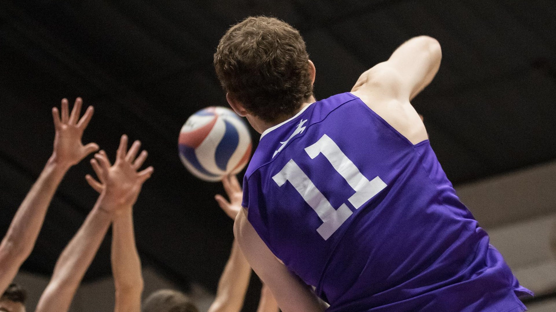 Christian Janke - Men's Volleyball - Grand Canyon University Athletics