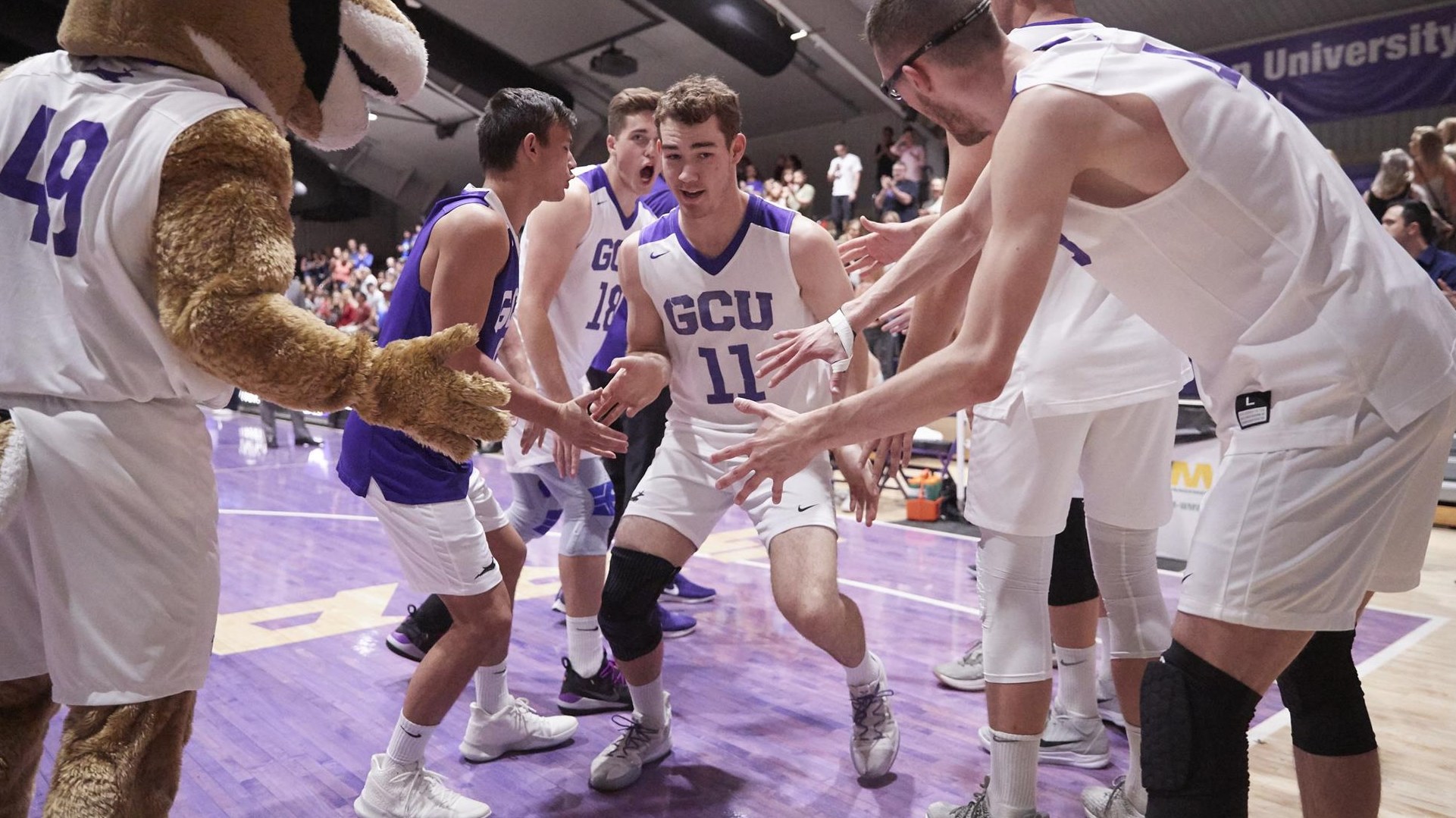 Christian Janke - Men's Volleyball - Grand Canyon University Athletics