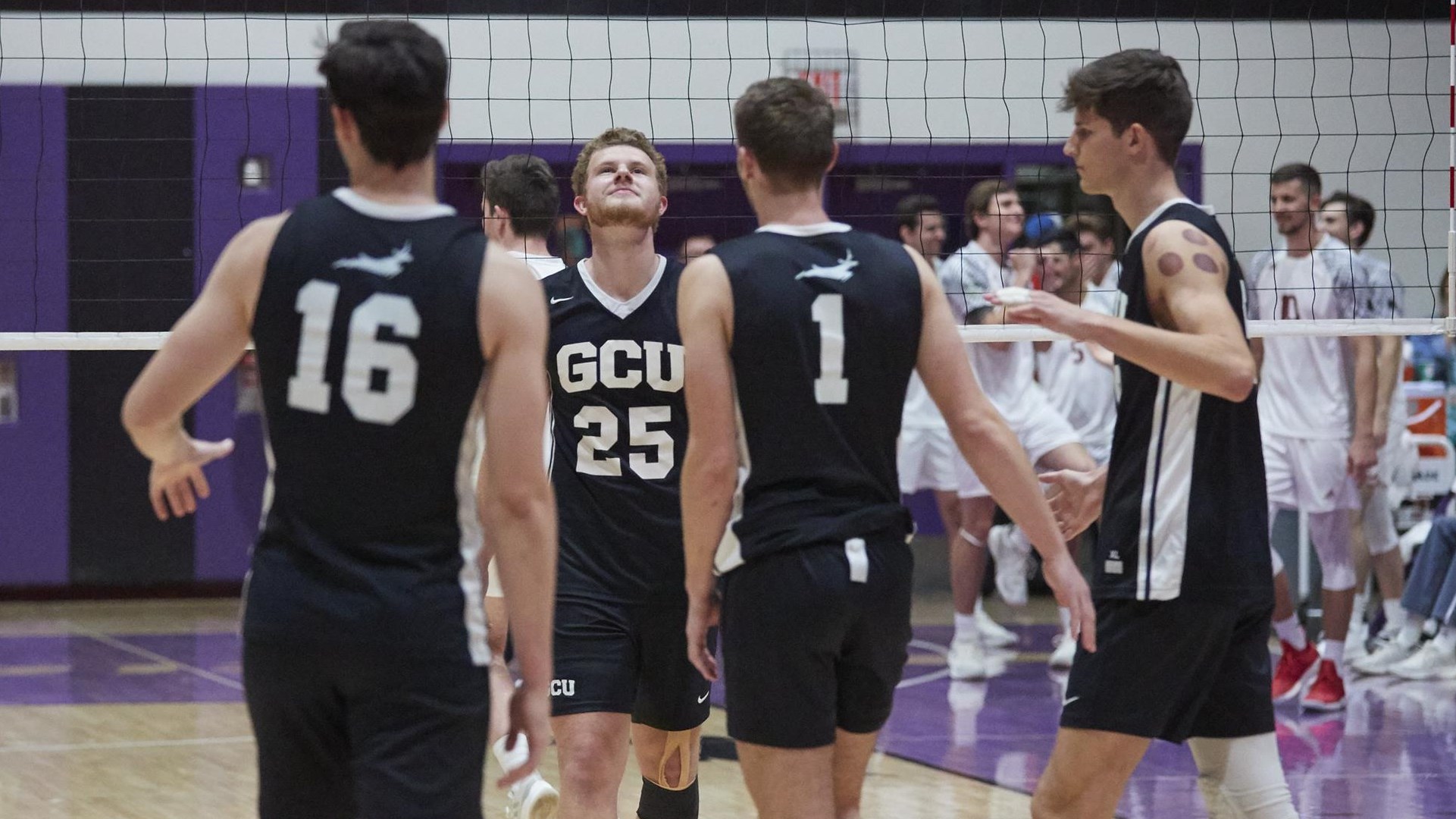 Hugo Fischer - Men's Volleyball - Grand Canyon University Athletics