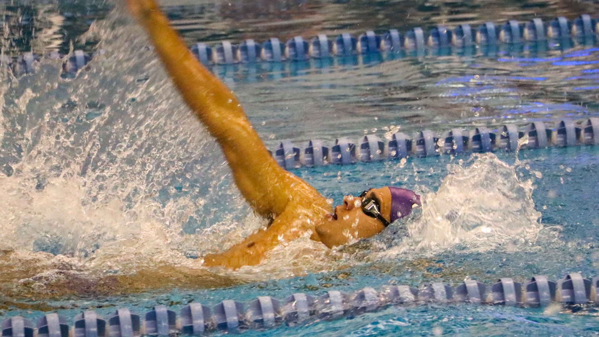 Alonso Carazo Barbero - Men's Swimming and Diving - Grand Canyon ...