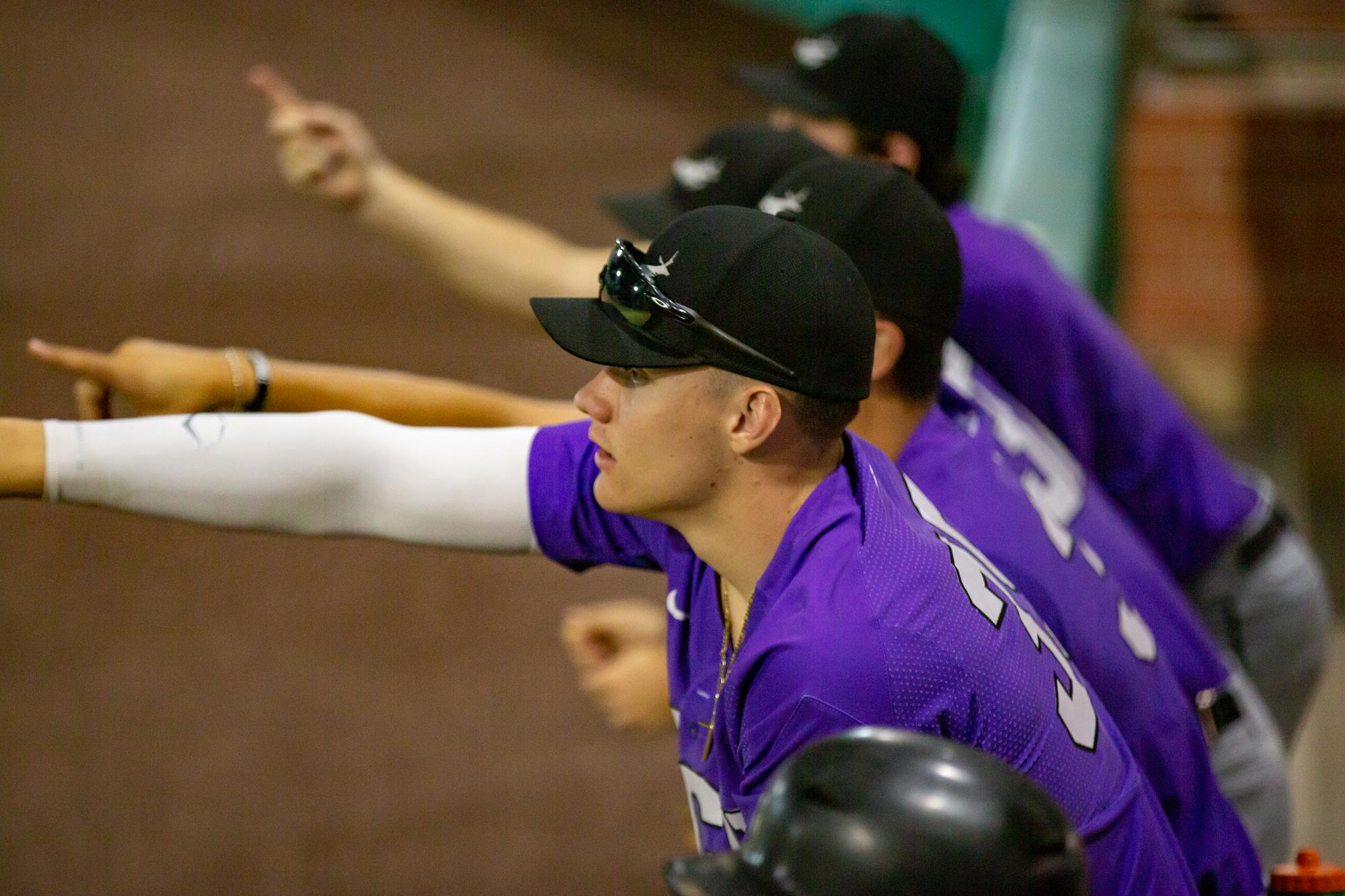 Beau Ankeney - Baseball - Grand Canyon University Athletics