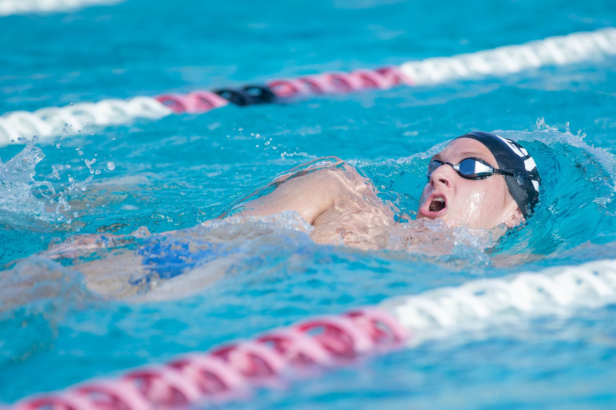 GCU swim, dive teams travel to Tucson - Grand Canyon University Athletics