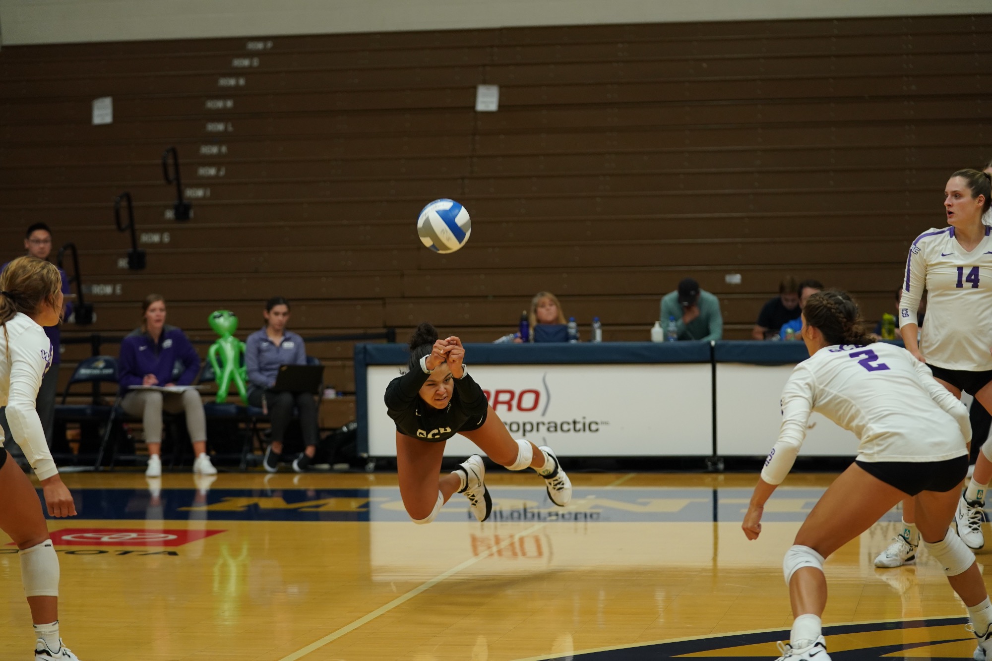 Tatum Thomas - Women's Volleyball - Grand Canyon University Athletics