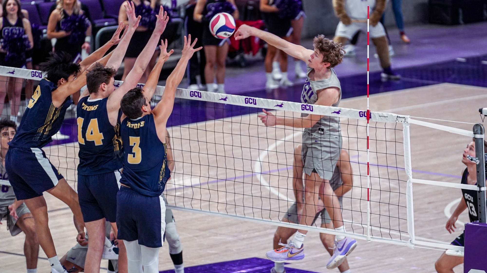 Jackson Hickman - Men's Volleyball - Grand Canyon University Athletics