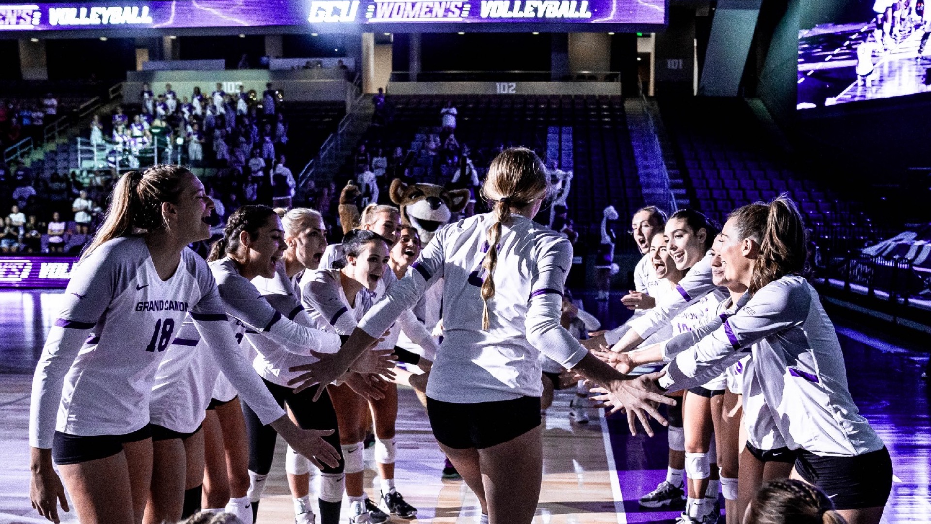 Tatum Parrott - Women's Volleyball - Grand Canyon University Athletics
