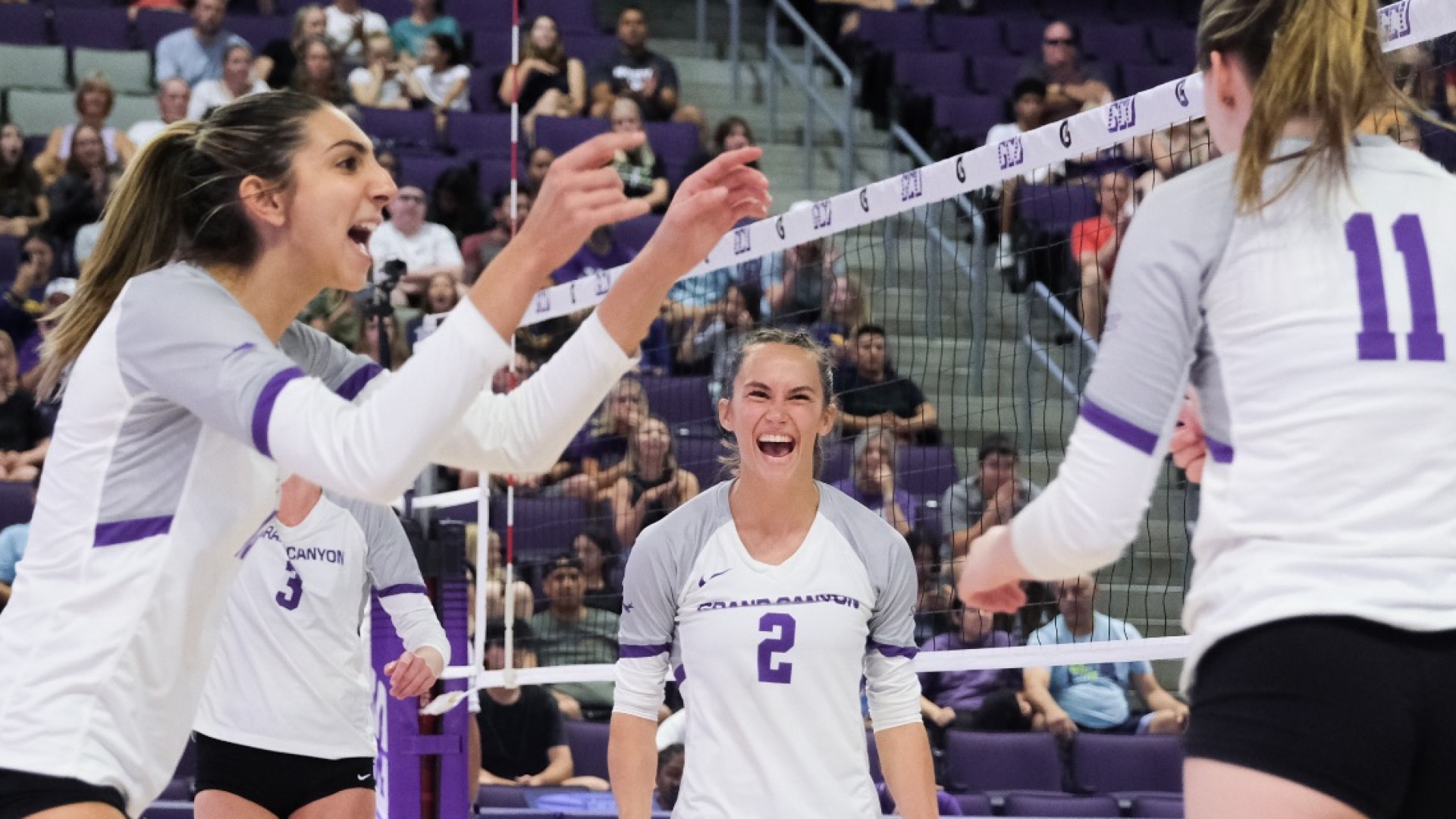 Klaire Mitchell - Women's Volleyball - Grand Canyon University Athletics