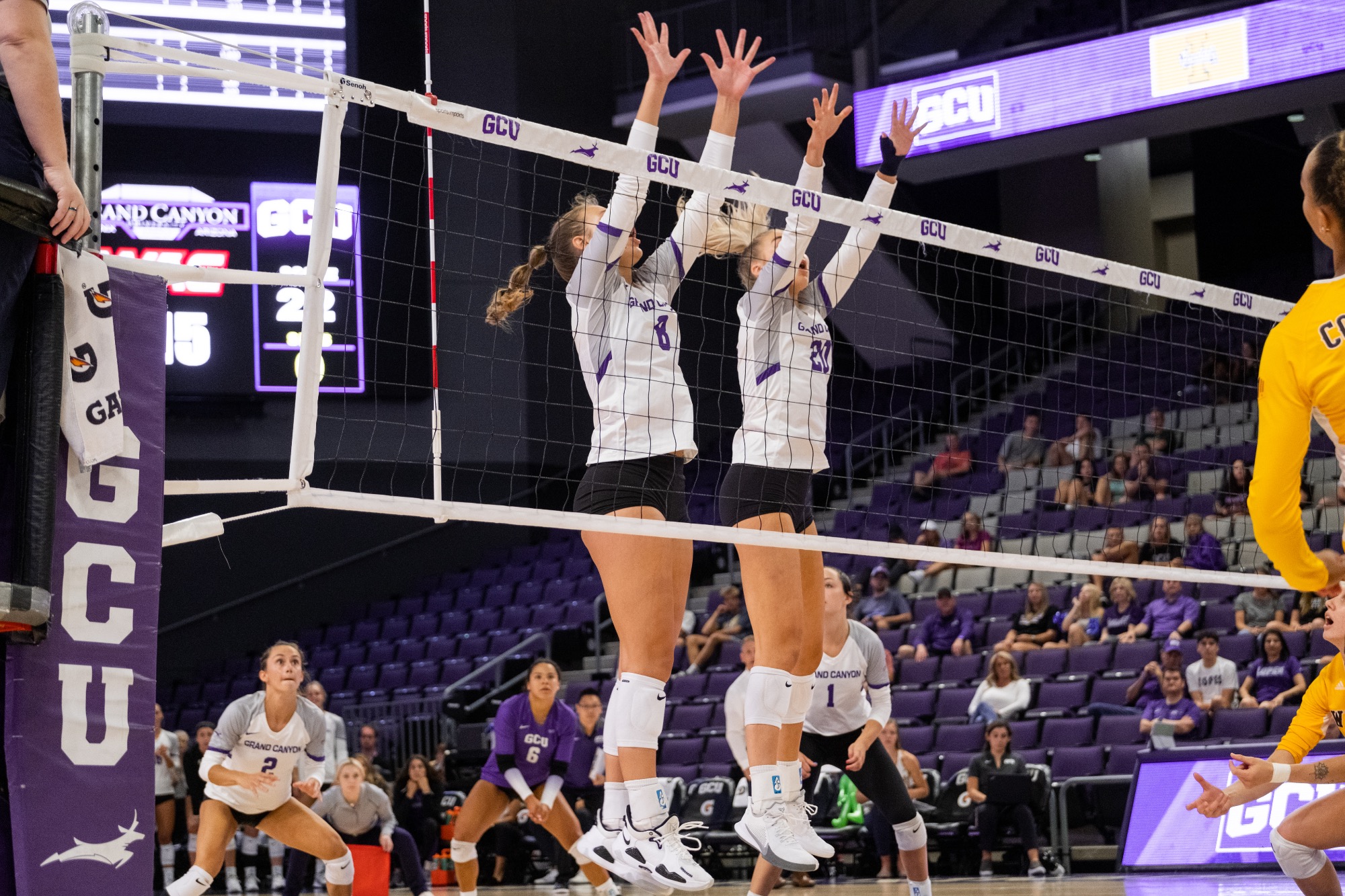 Sydney Reed - Women's Volleyball - Grand Canyon University Athletics