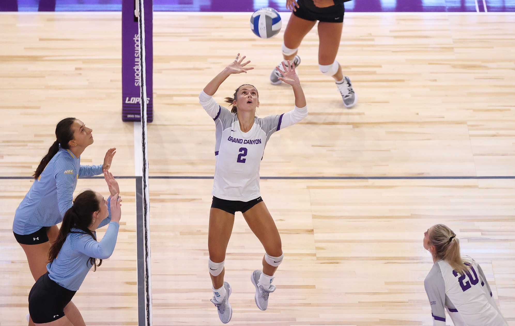 Klaire Mitchell - Women's Volleyball - Grand Canyon University Athletics