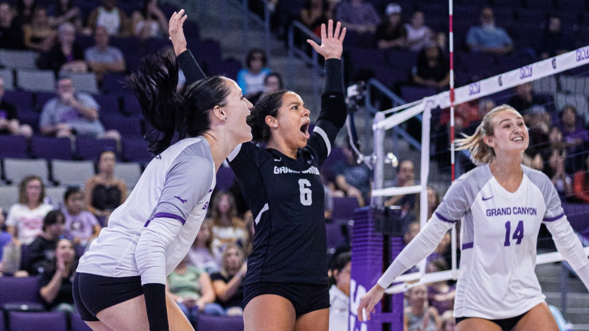 Ellie Frey - Women's Volleyball - Grand Canyon University Athletics