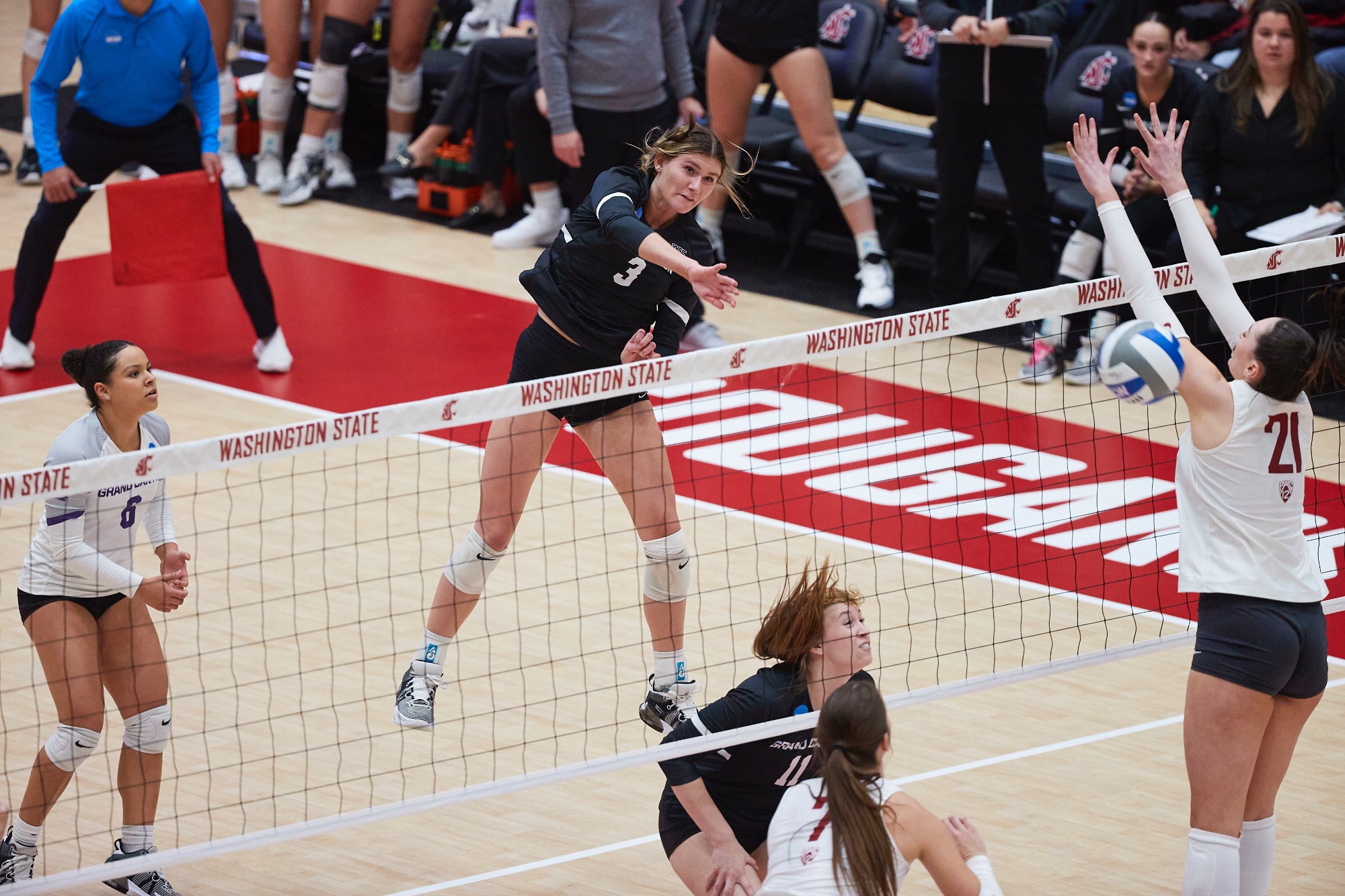 Tatum Parrott - Women's Volleyball - Grand Canyon University Athletics