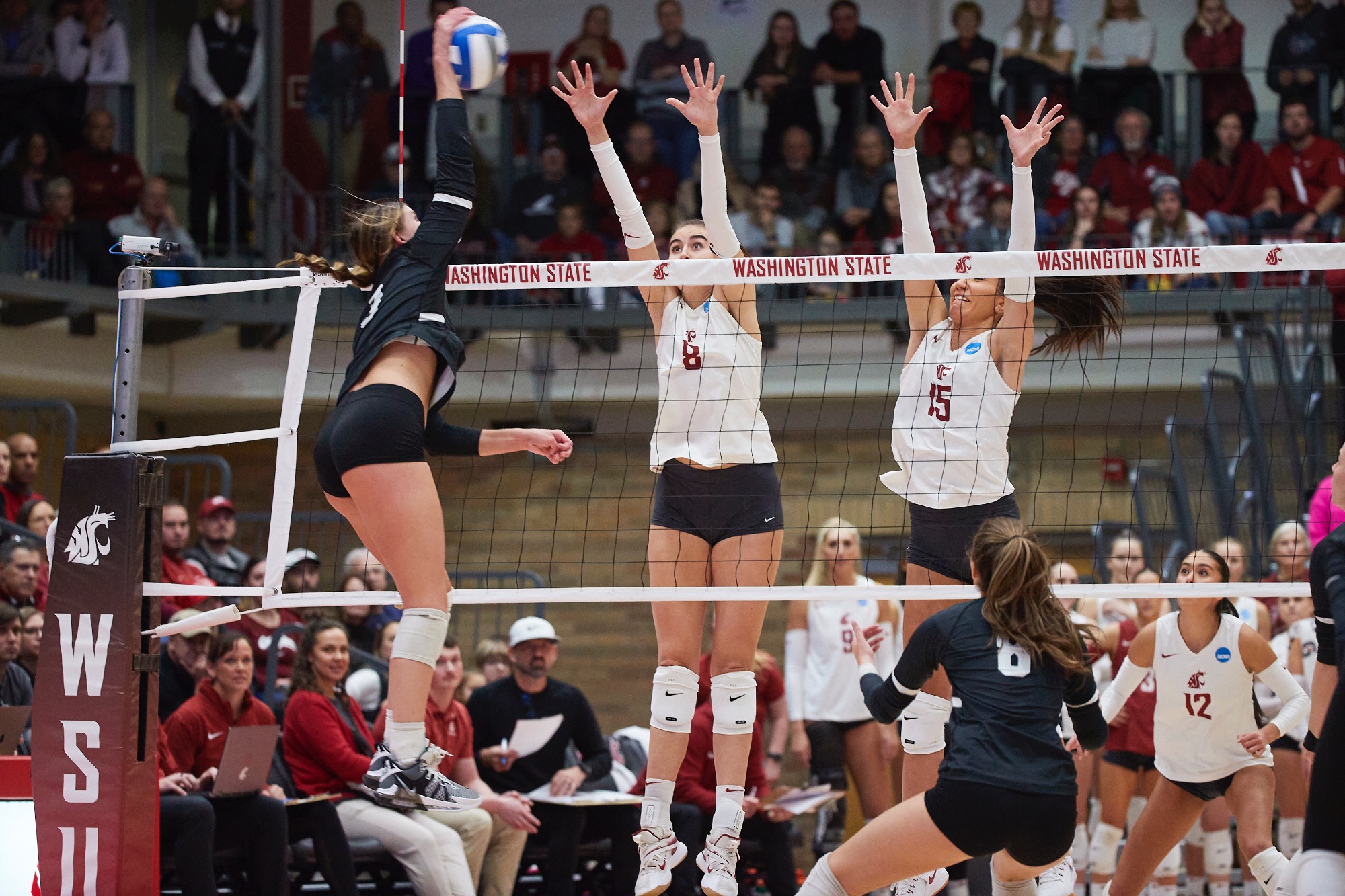 Tatum Parrott - Women's Volleyball - Grand Canyon University Athletics