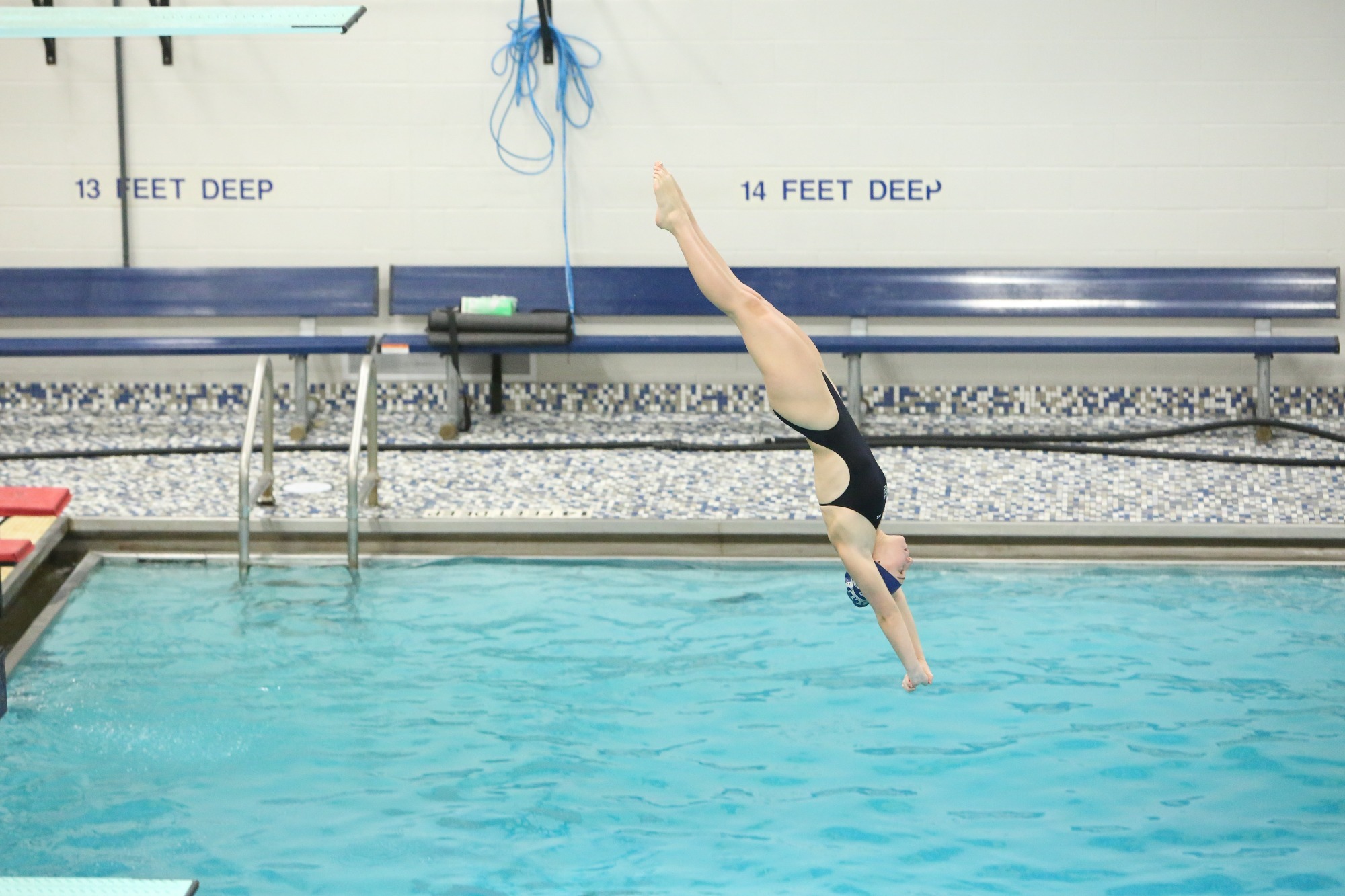 Alexandra Pucci-Schaefer - 2023-24 - Women's Swimming and Diving - SUNY ...