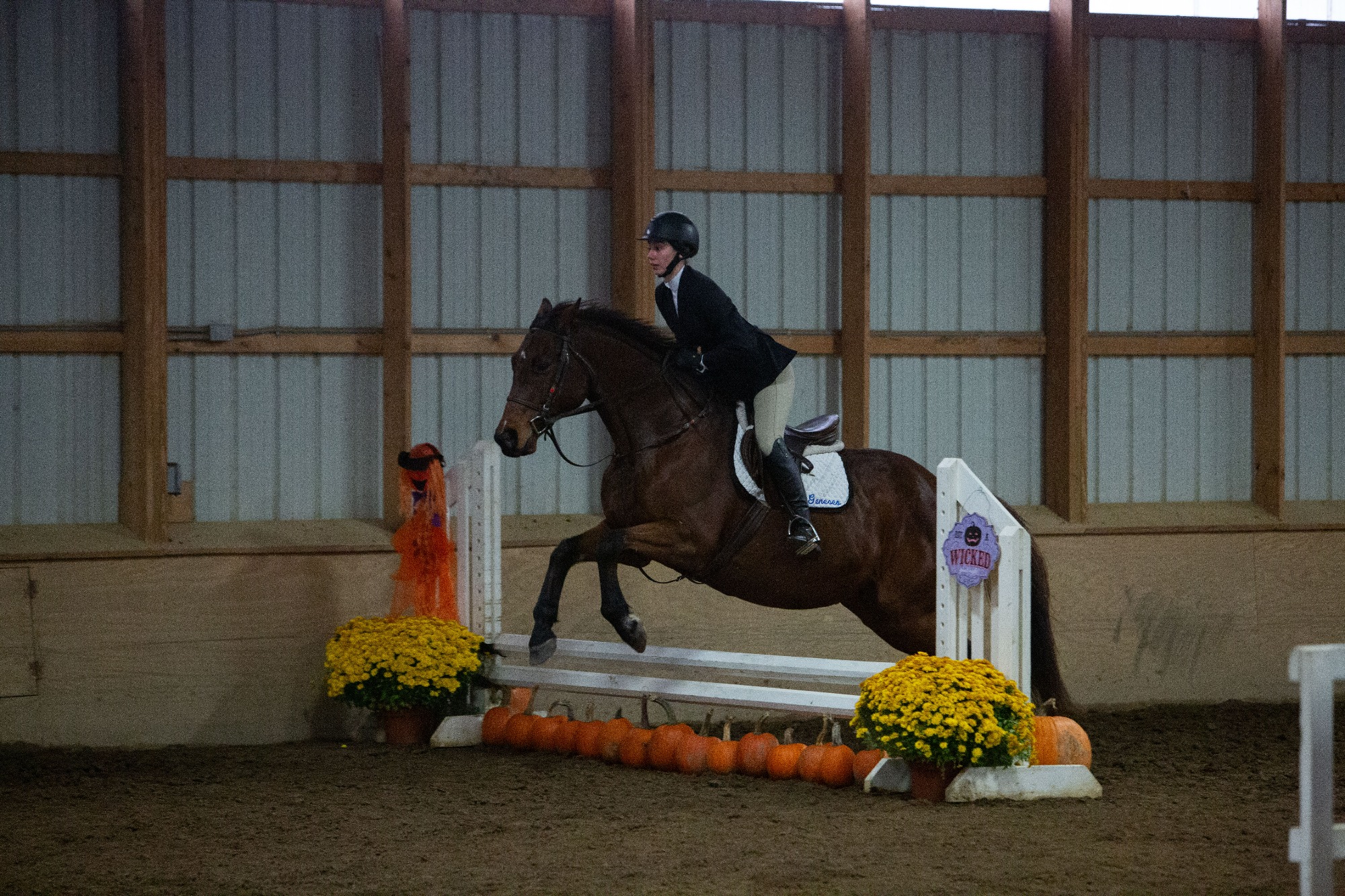 Equestrian Finishes Fourth In Back-To-Back Shows At St. Lawrence - SUNY ...