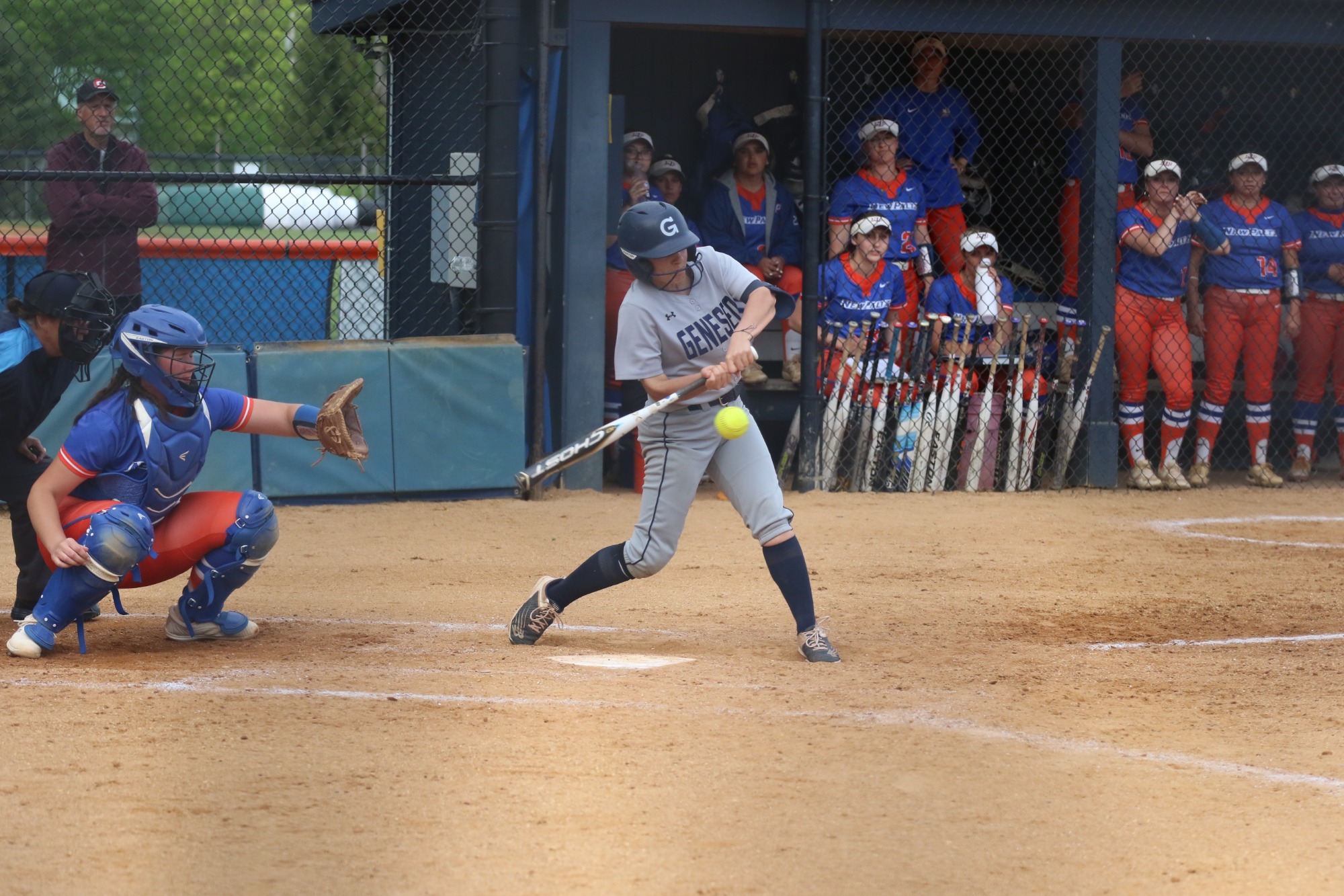 Softball Comes Up Short In SUNYAC Tournament - SUNY Geneseo