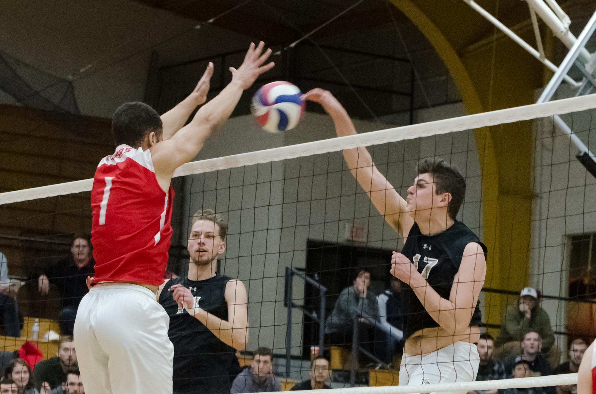 Peter Barbato - Men's Volleyball - Geneva College Athletics