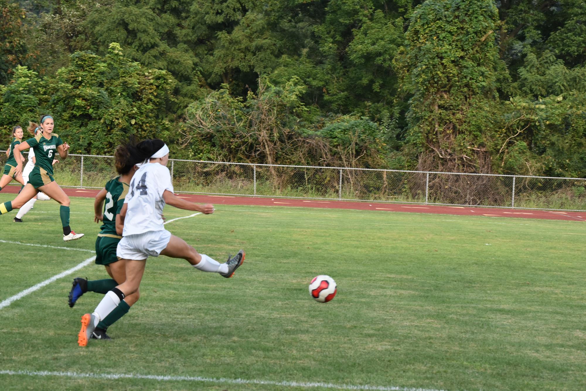 Erica Sumner - Women's Soccer - Geneva College Athletics