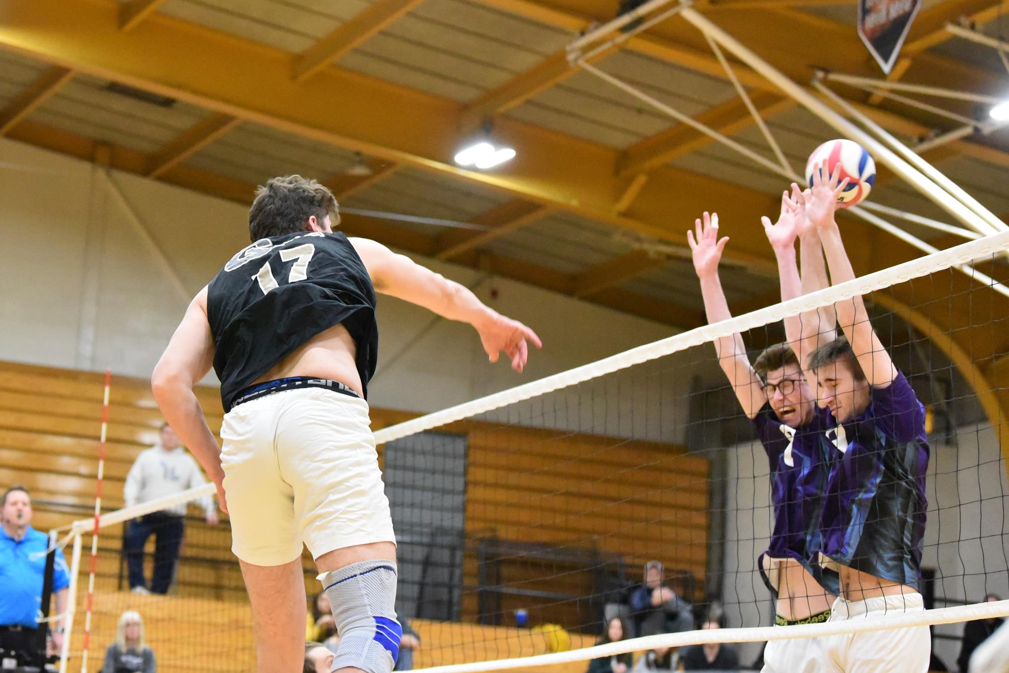 Peter Barbato - Men's Volleyball - Geneva College Athletics