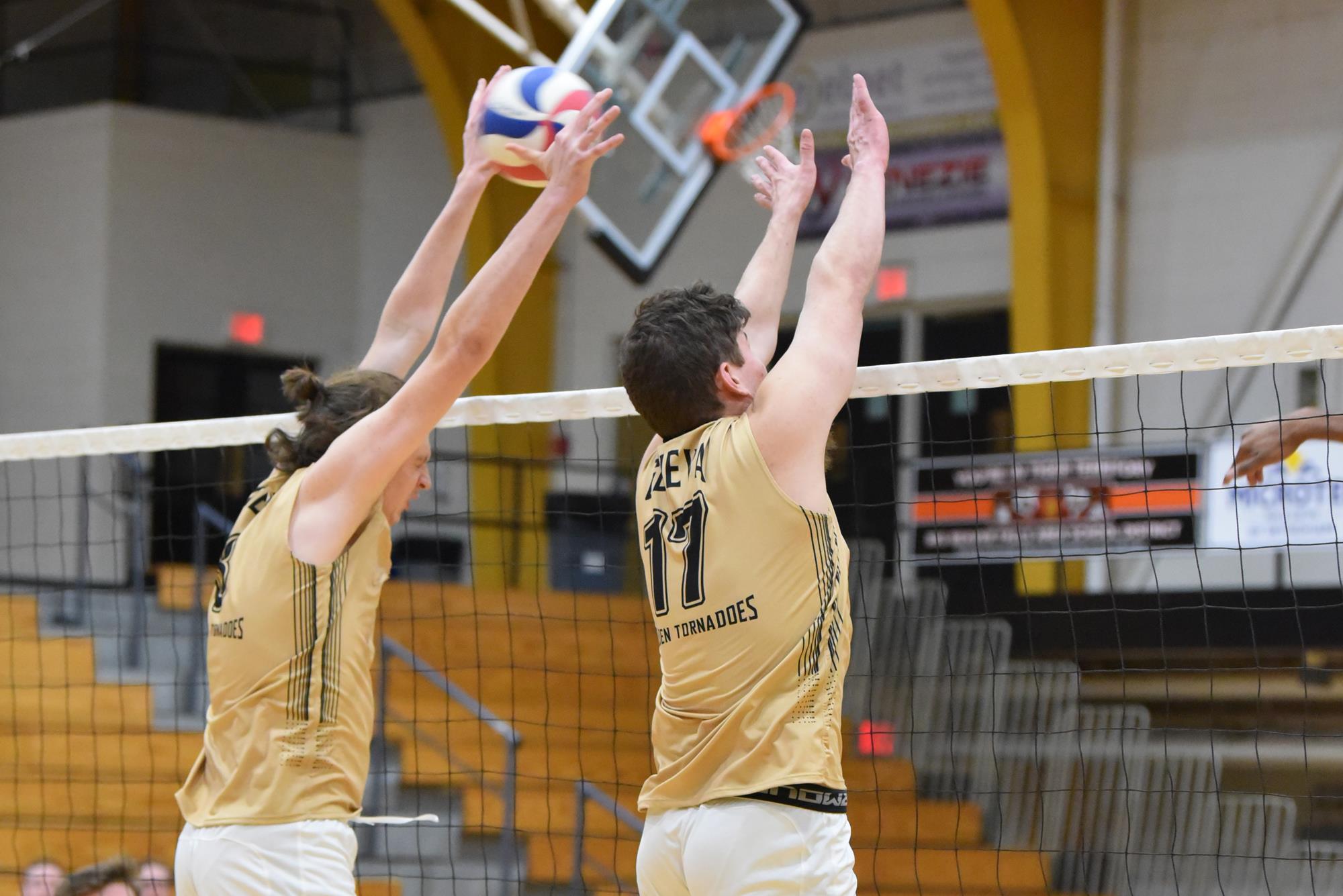 Peter Barbato - Men's Volleyball - Geneva College Athletics